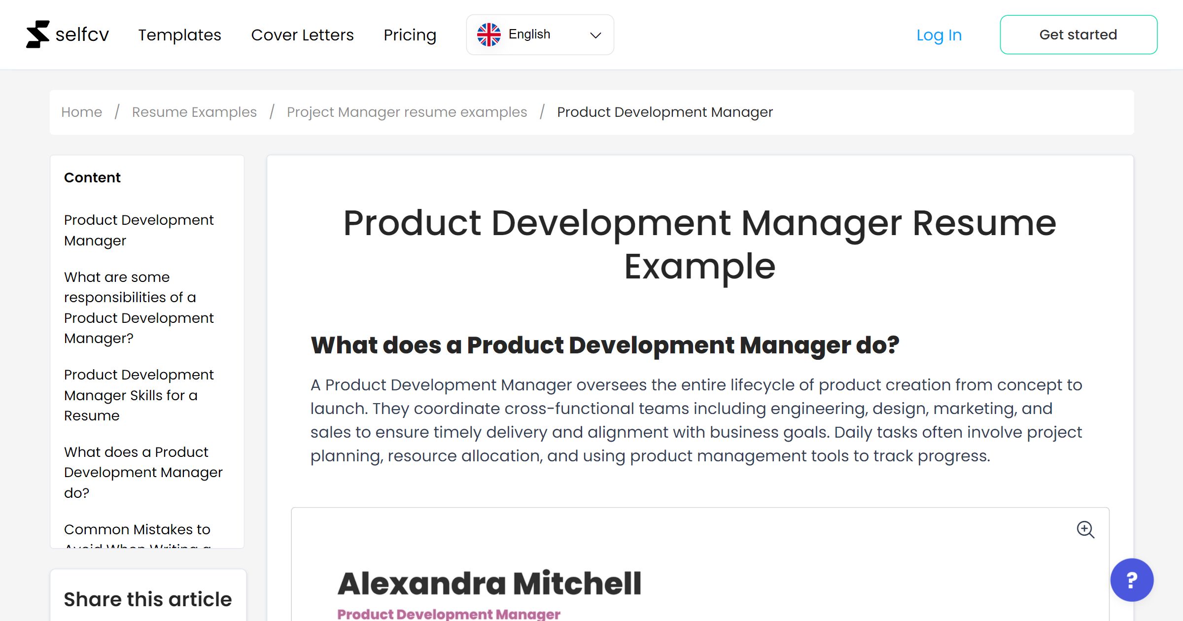 Product Development Manager Resume Example