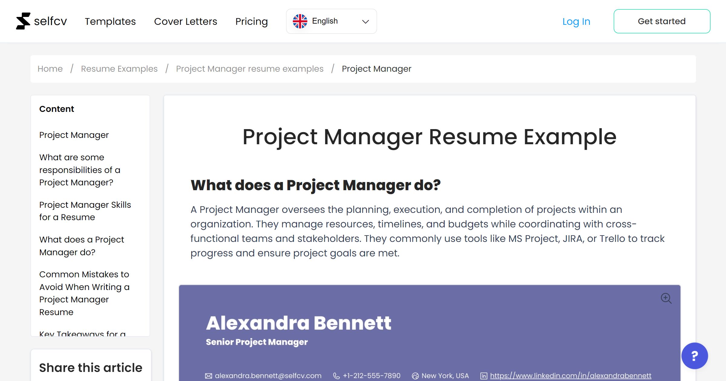 Project Manager Resume Example