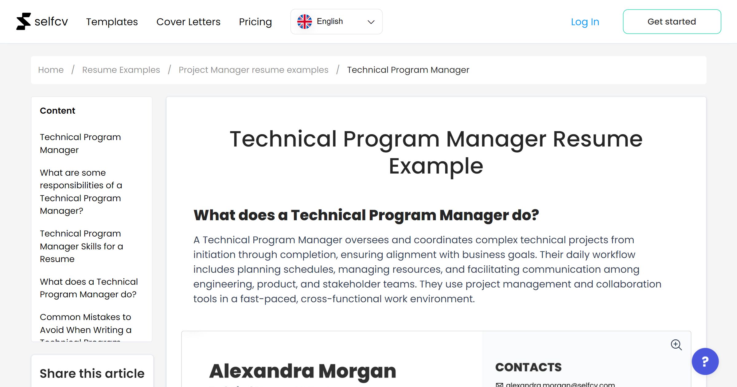 Technical Program Manager Resume Example