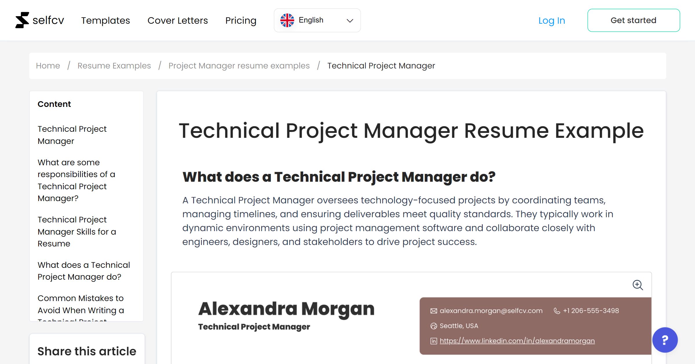 Technical Project Manager Resume Example
