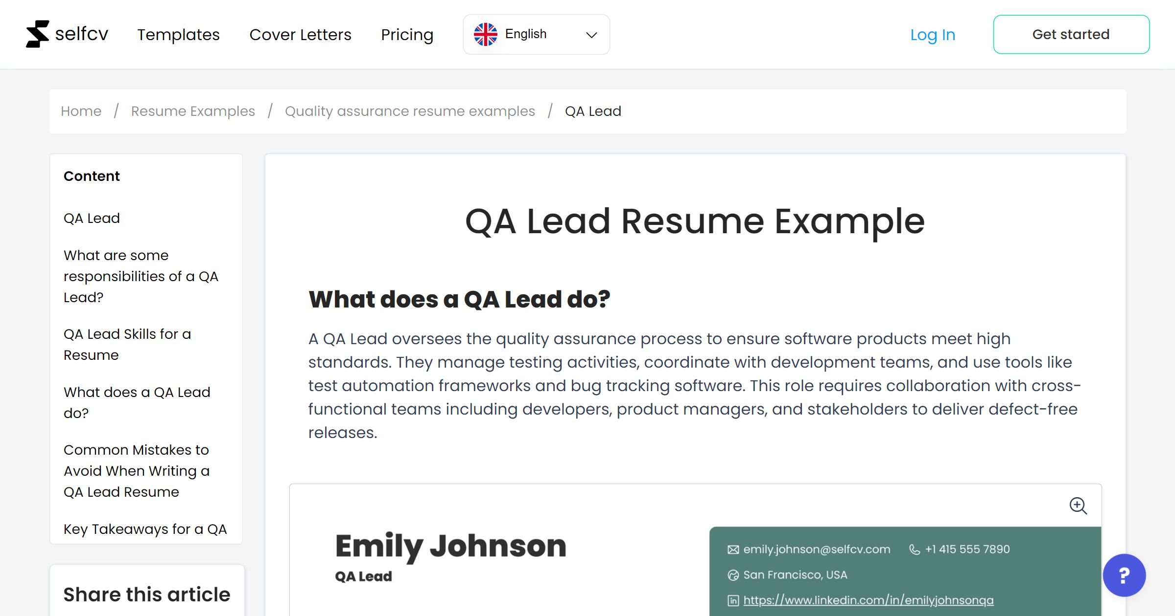 QA Lead Resume Example