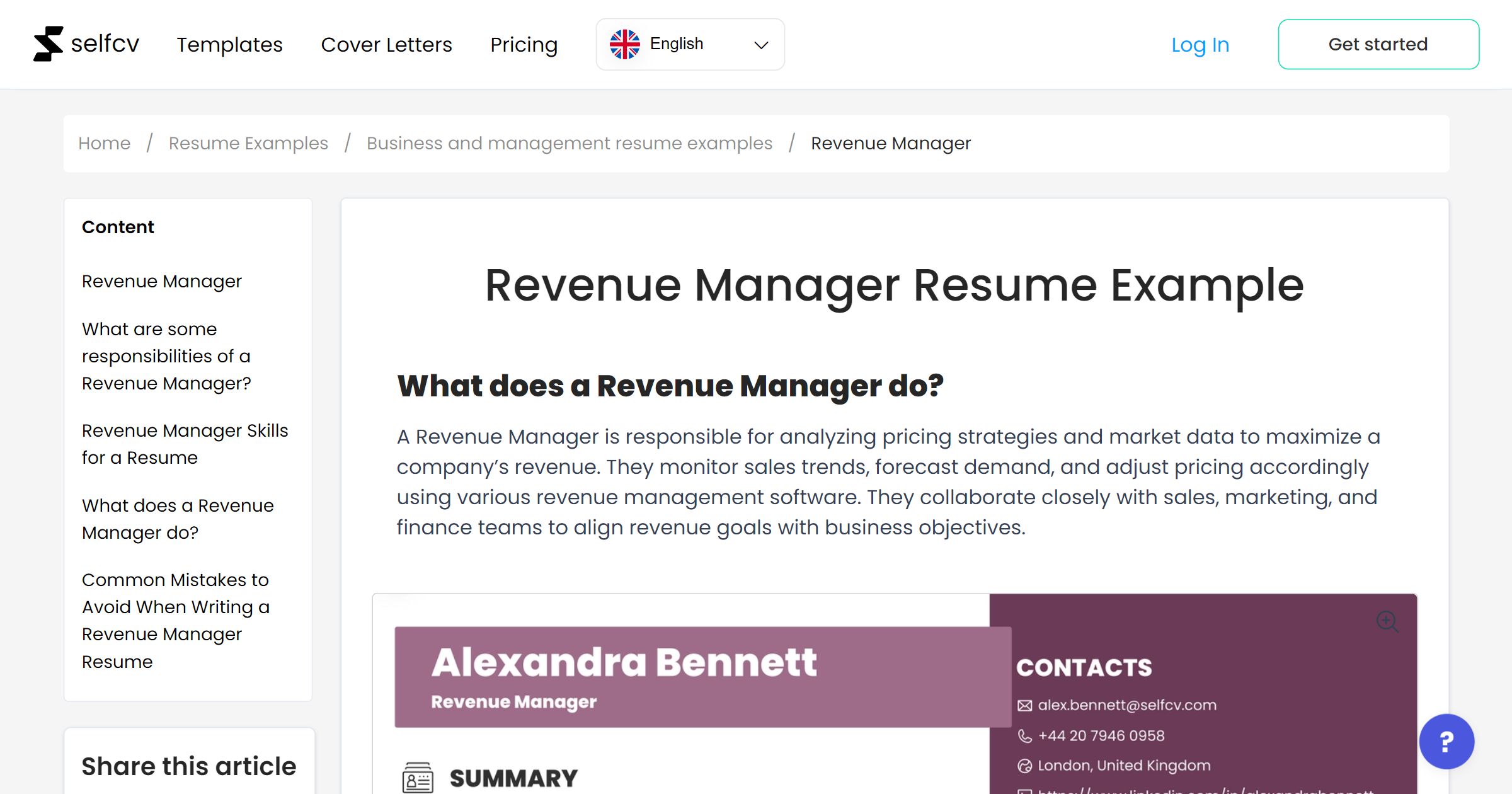 Revenue Manager Resume Example