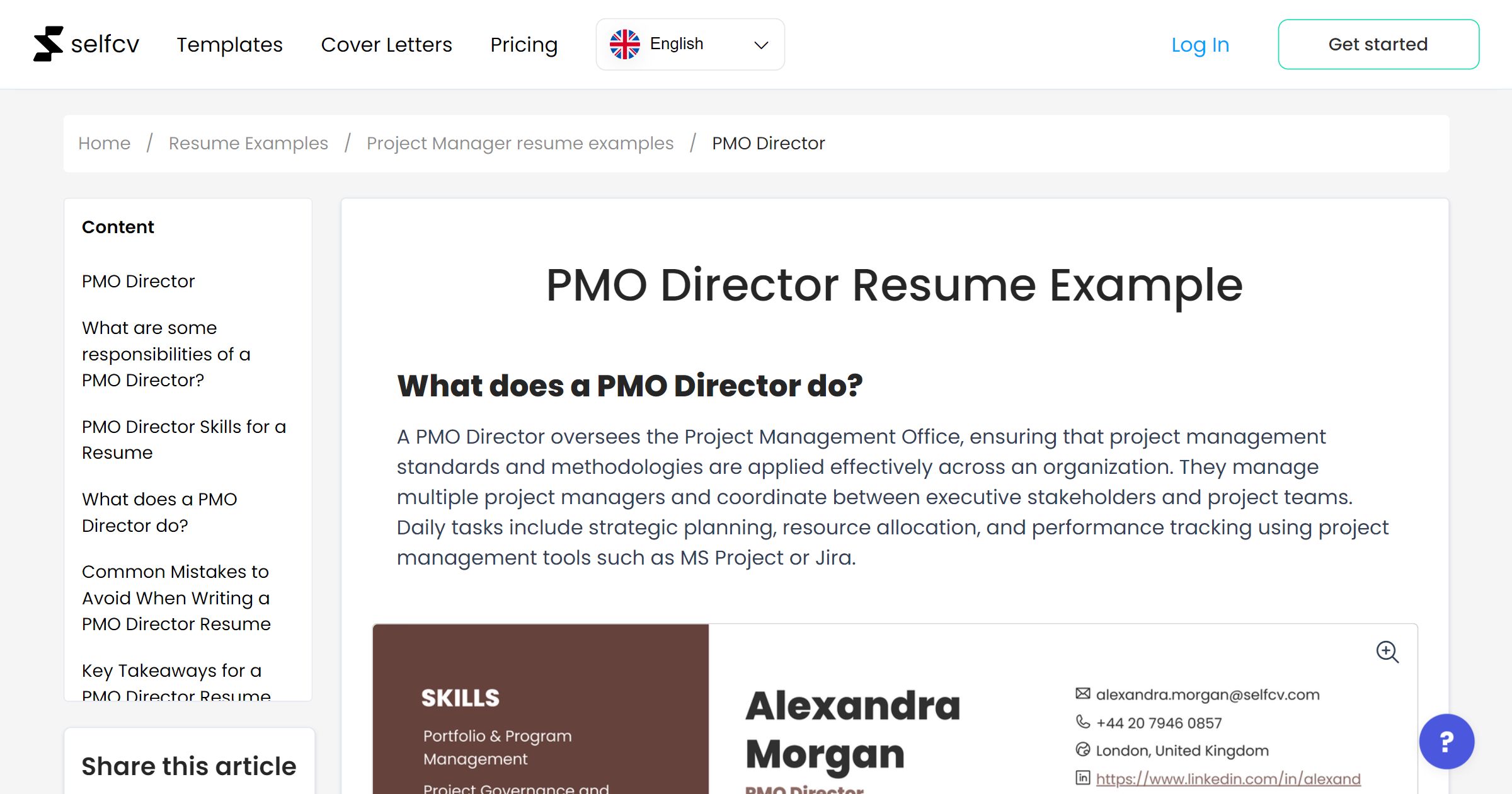 PMO Director Resume Example