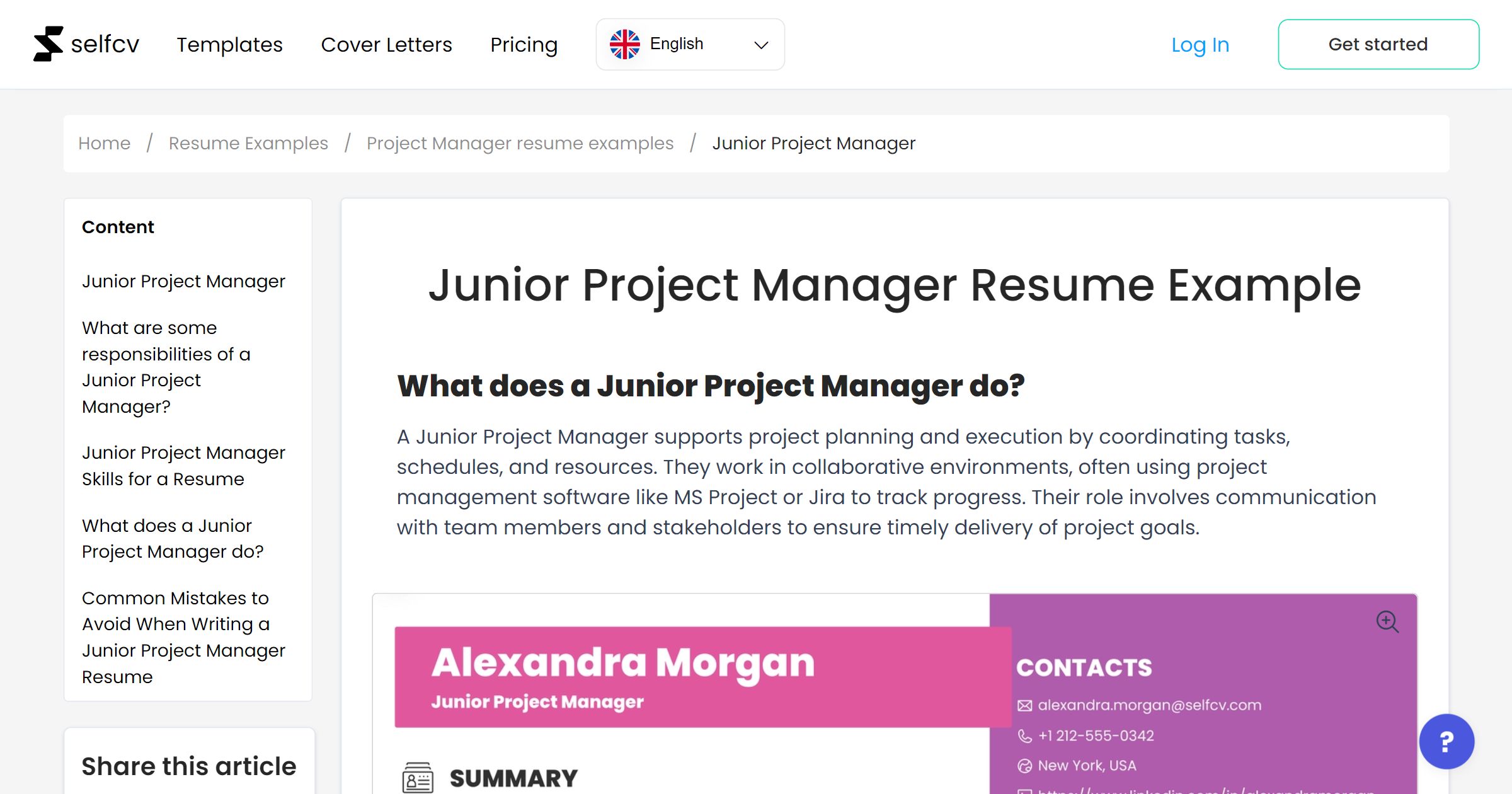 Junior Project Manager Resume Example