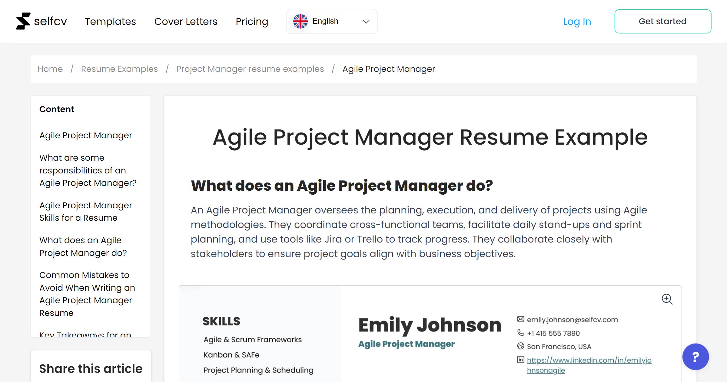 Agile Project Manager Resume Example