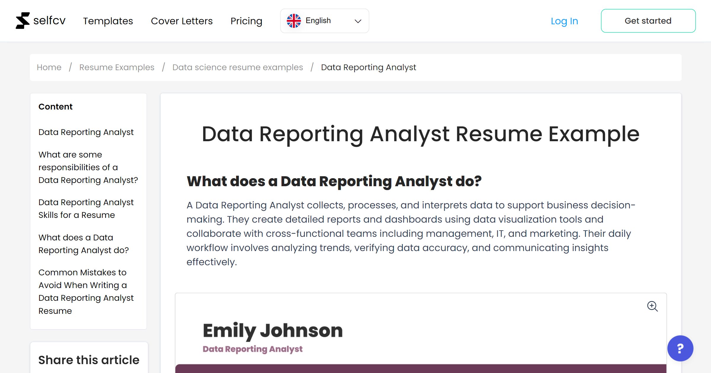 Data Reporting Analyst Resume Example