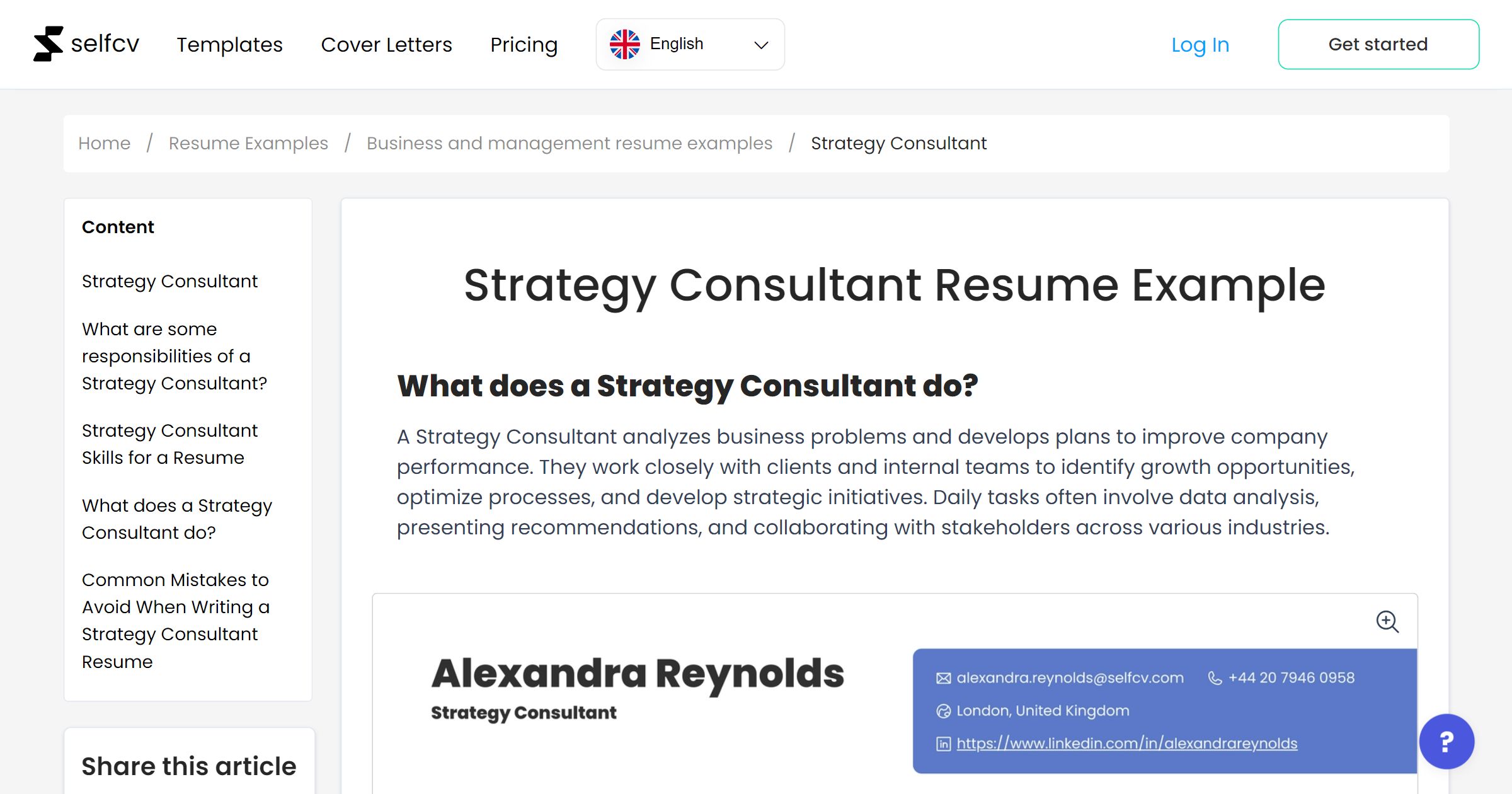 Strategy Consultant Resume Example