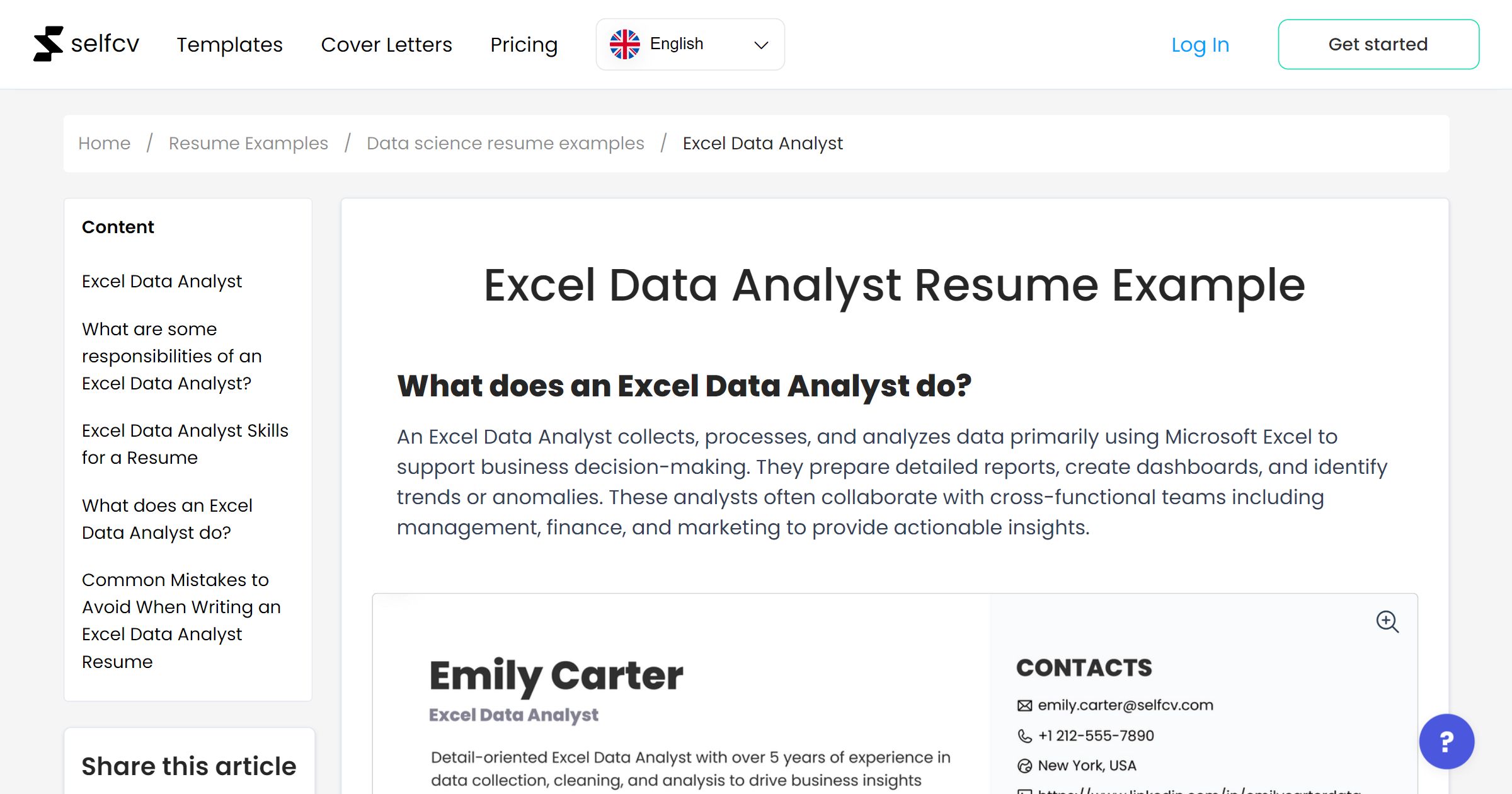 Excel Data Analyst Resume Example