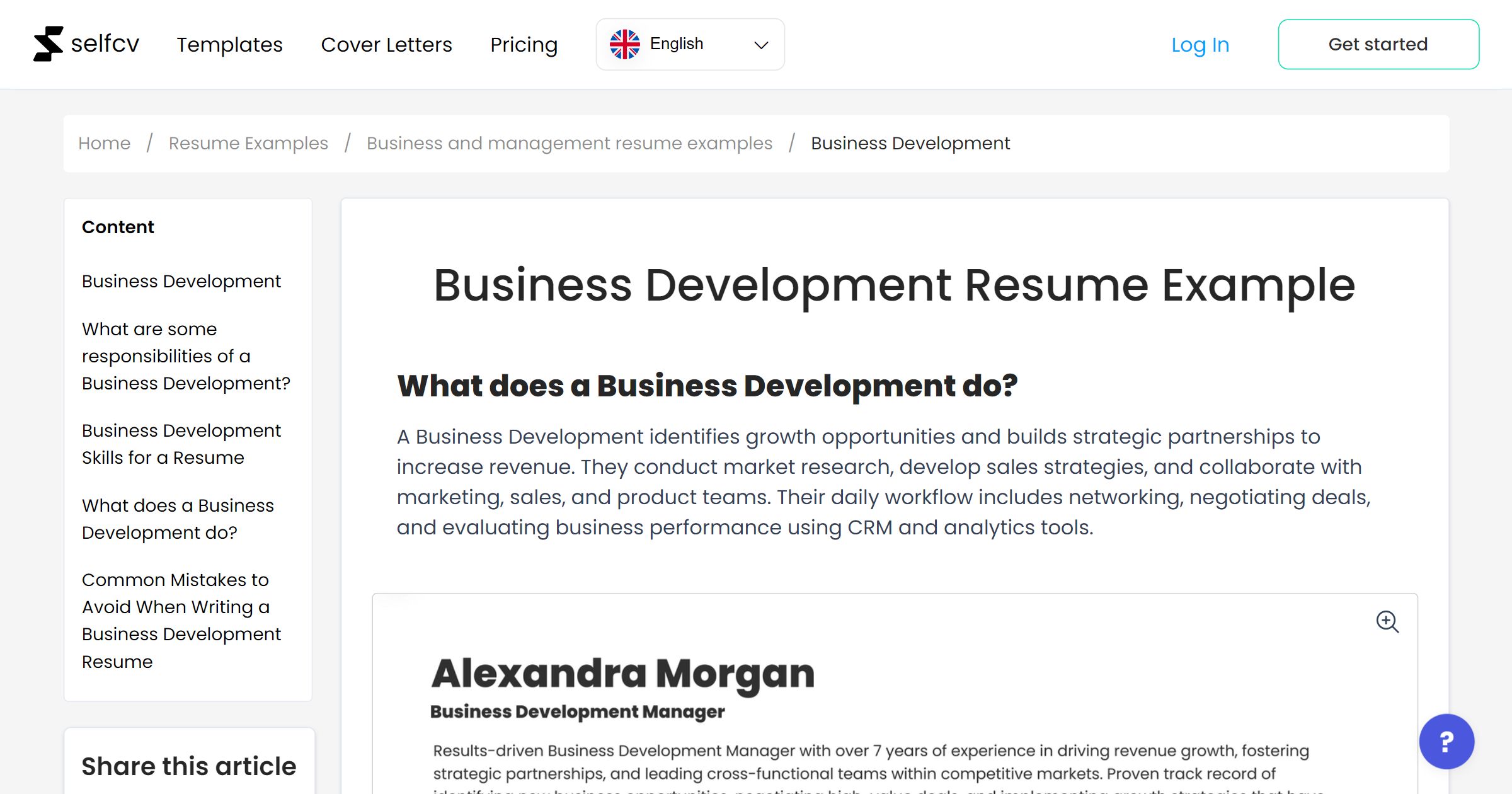 Business Development Resume Example