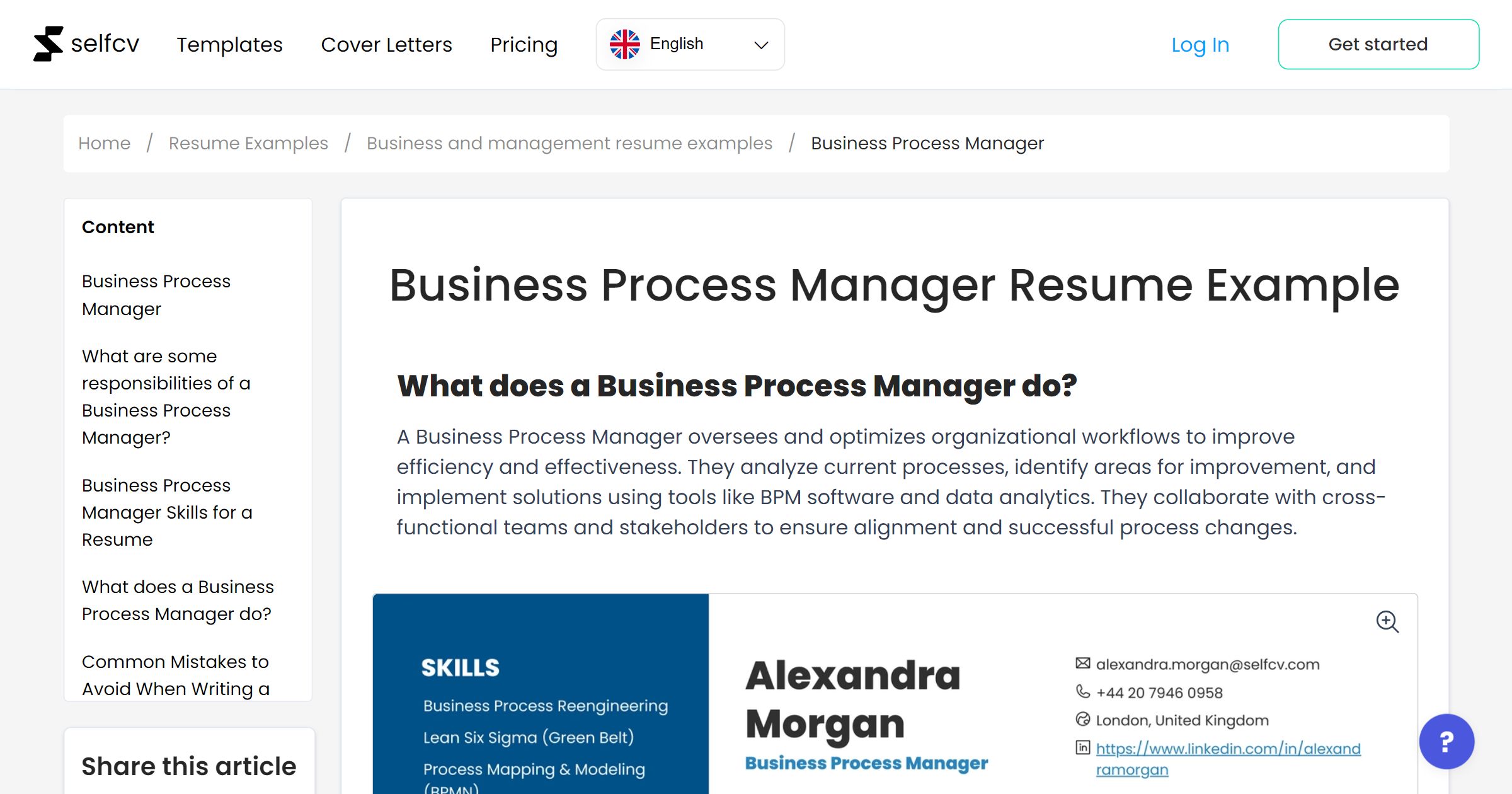Business Process Manager Resume Example