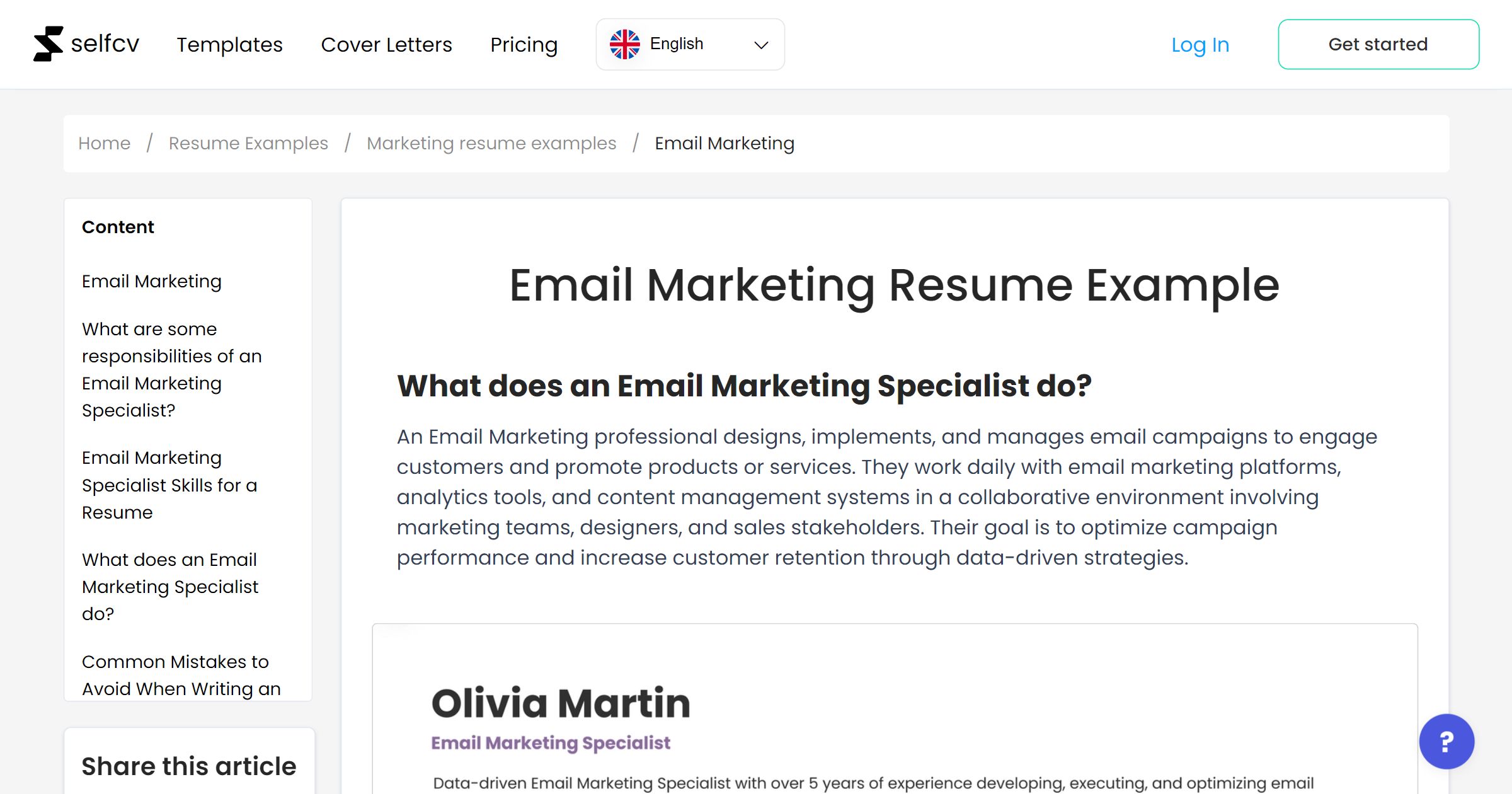 Email Marketing Resume Example