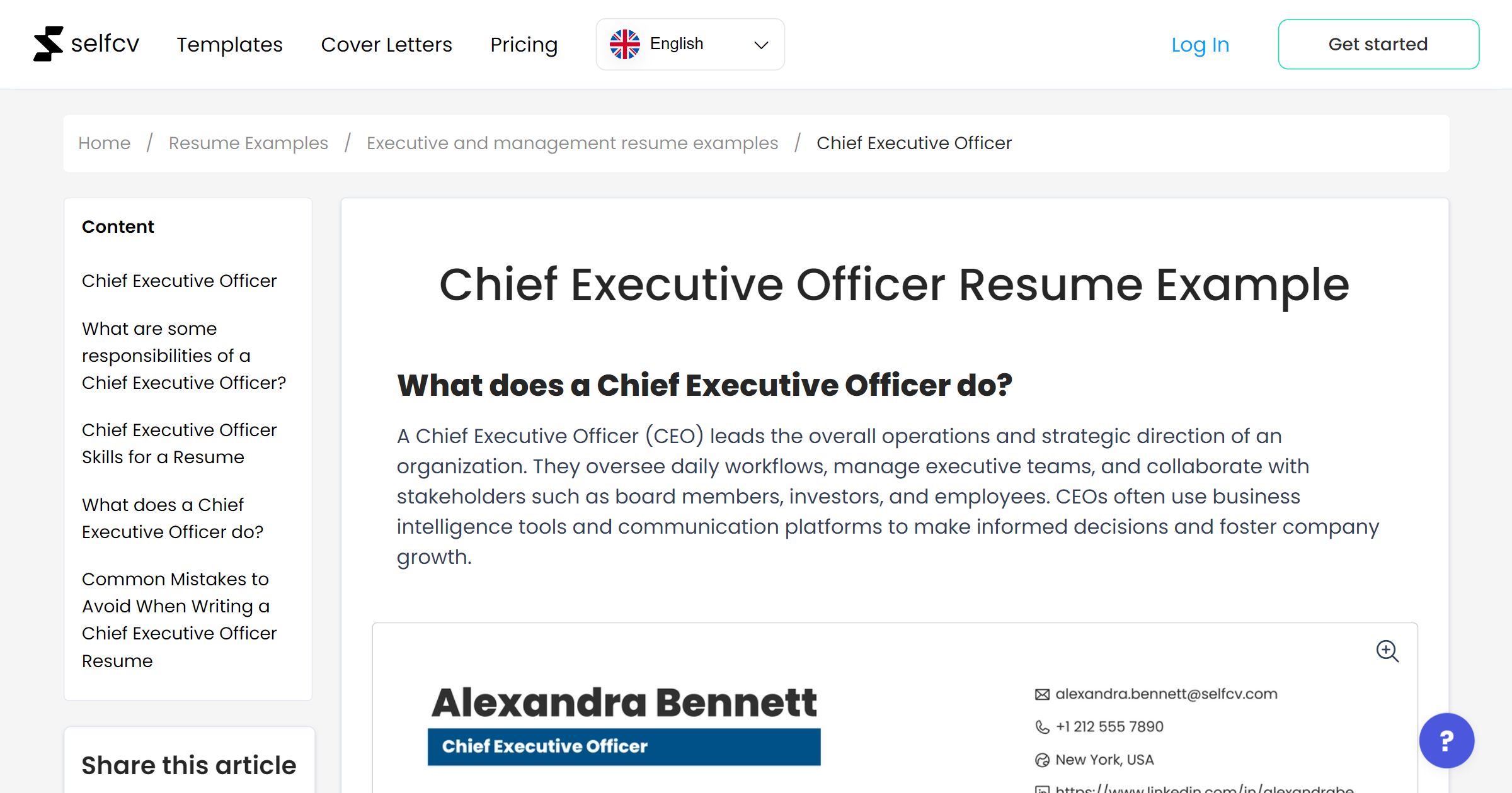 Chief Executive Officer Resume Example