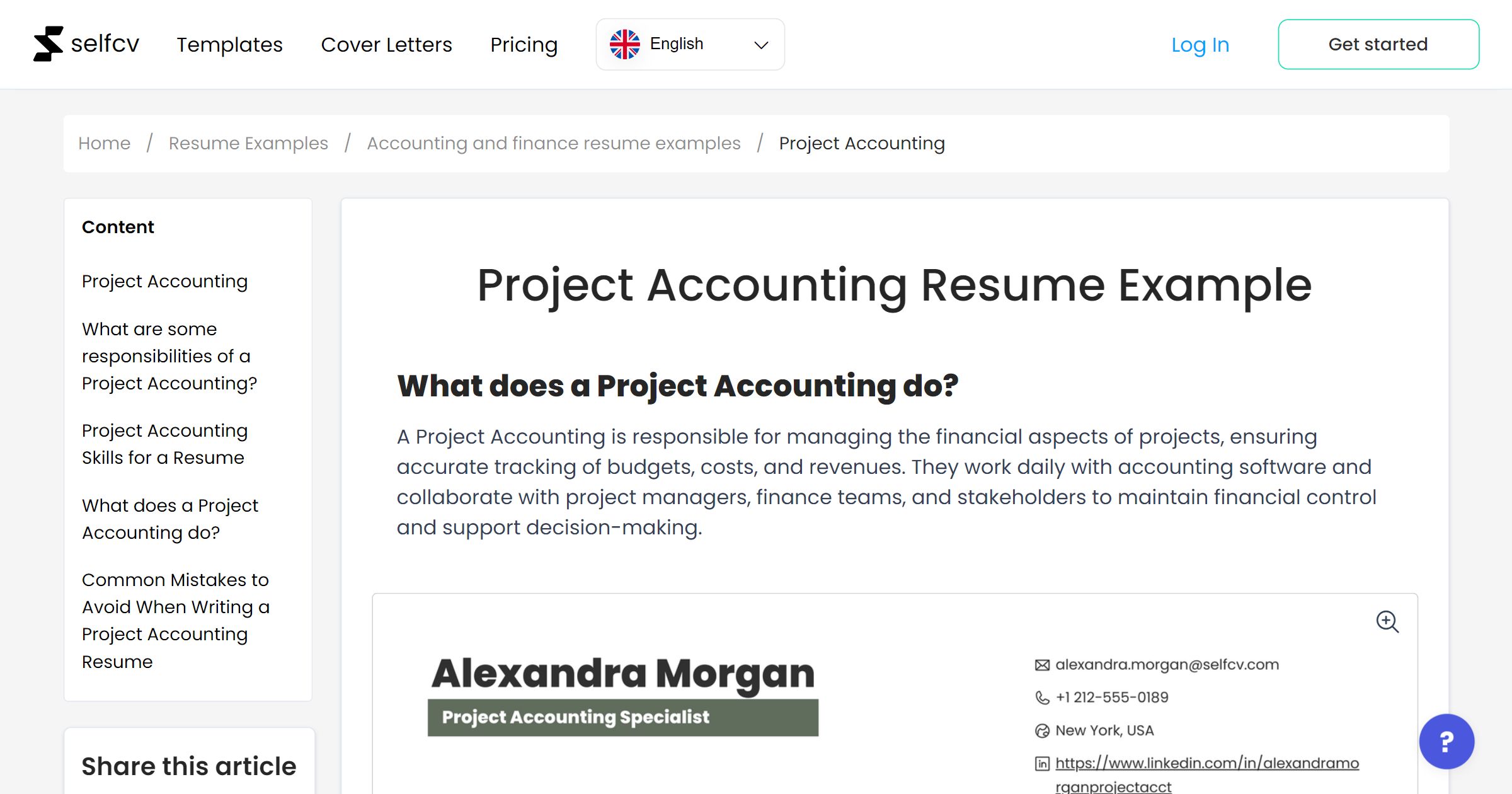 Project Accounting Resume Example
