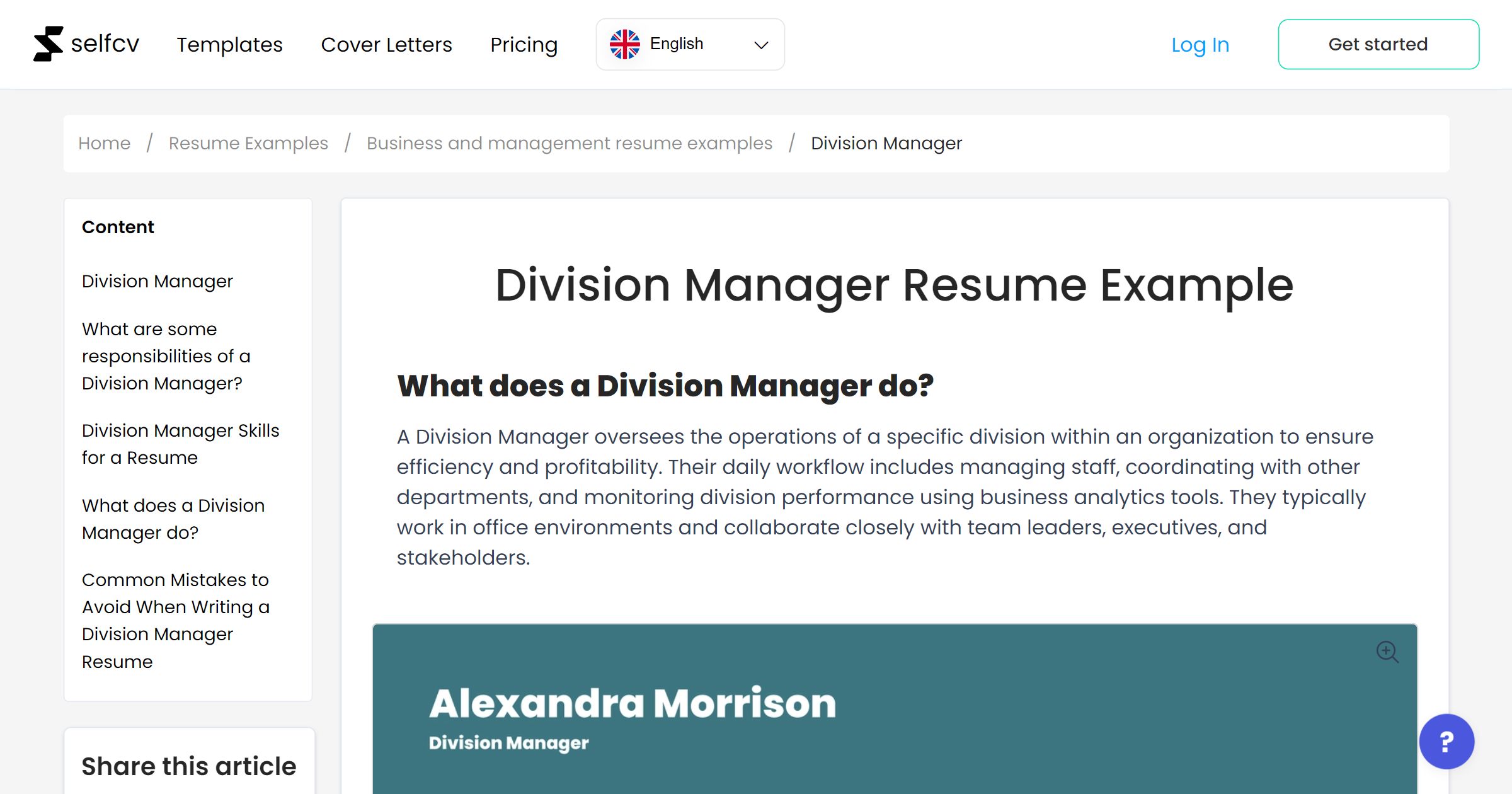 Division Manager Resume Example