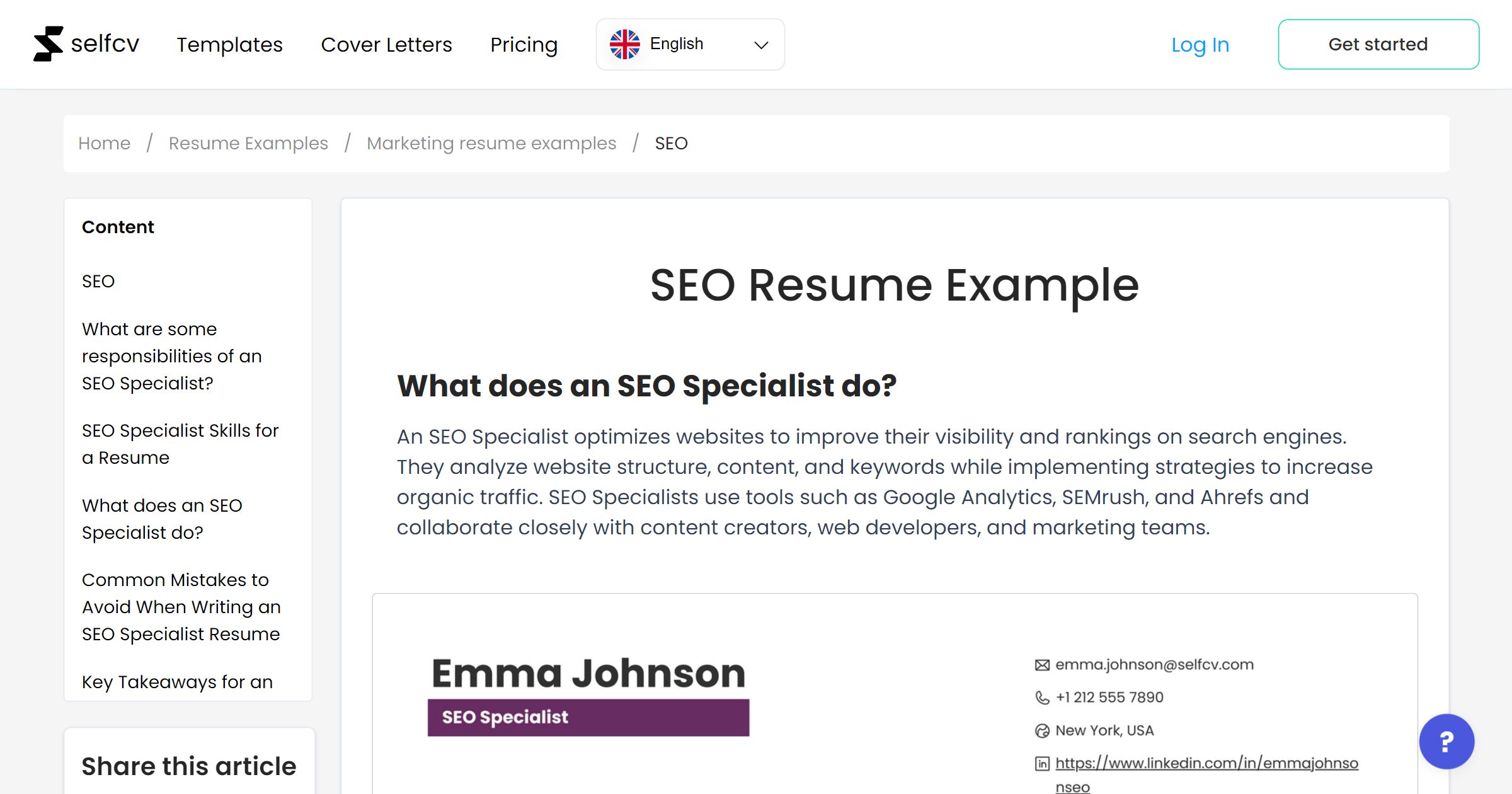 SEO Resume Example