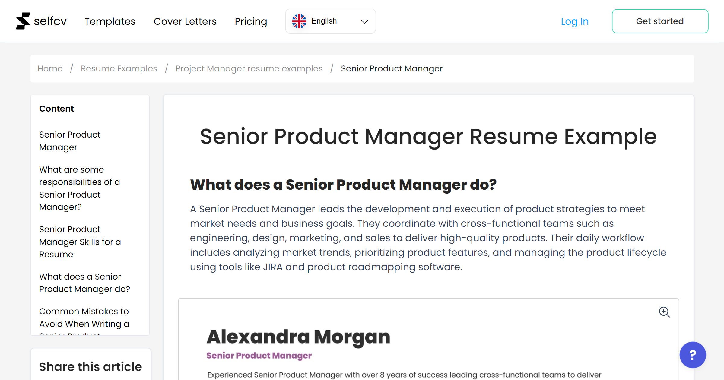 Senior Product Manager Resume Example