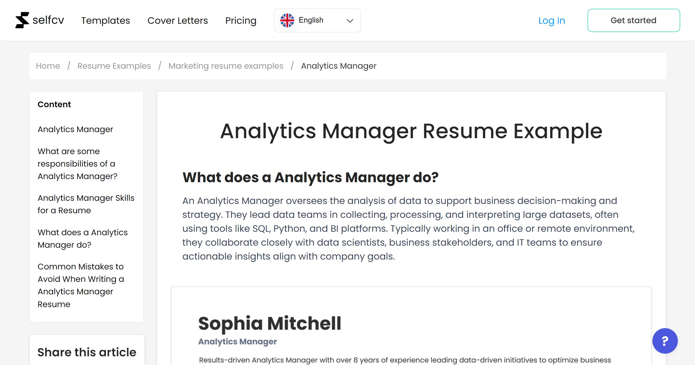 Analytics Manager Resume Example