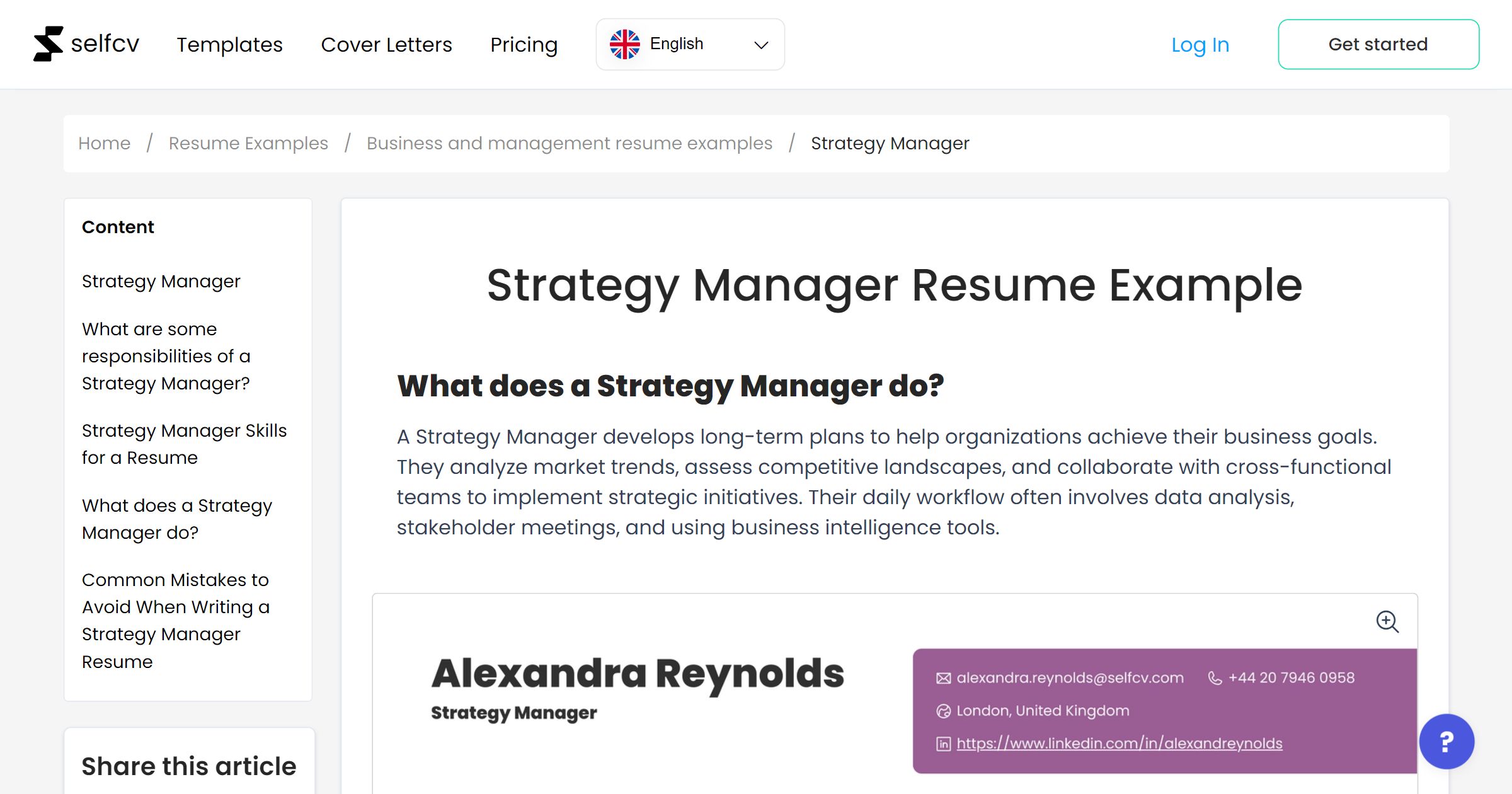 Strategy Manager Resume Example