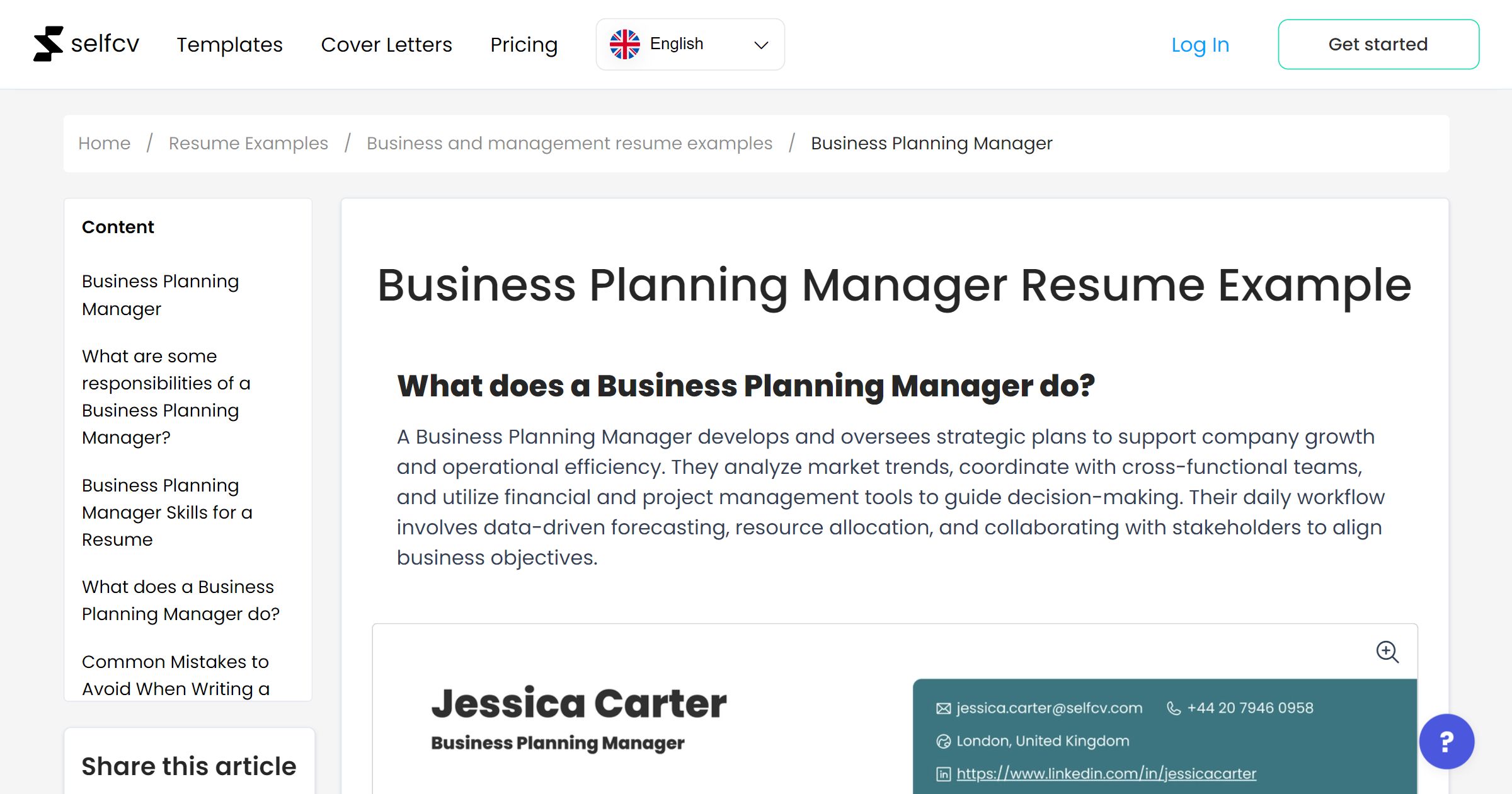 Business Planning Manager Resume Example