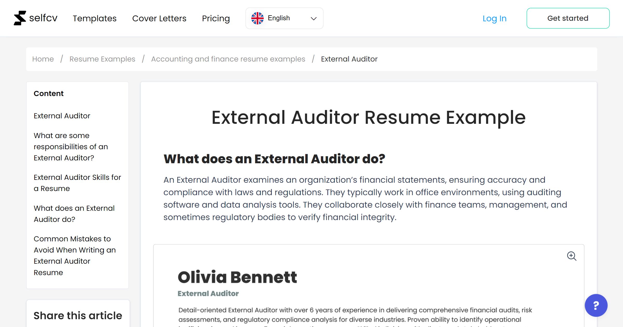 External Auditor Resume Example
