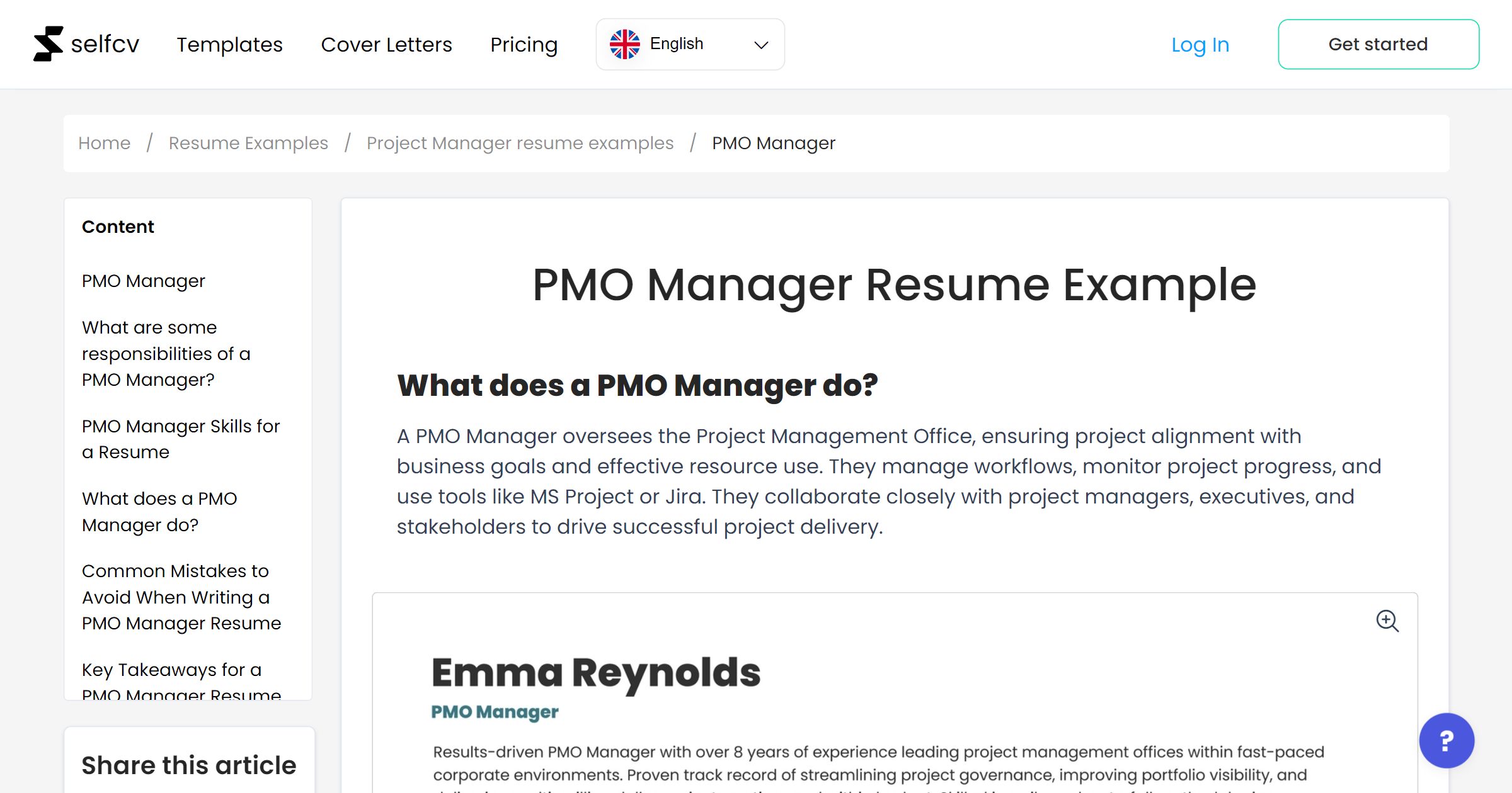 PMO Manager Resume Example