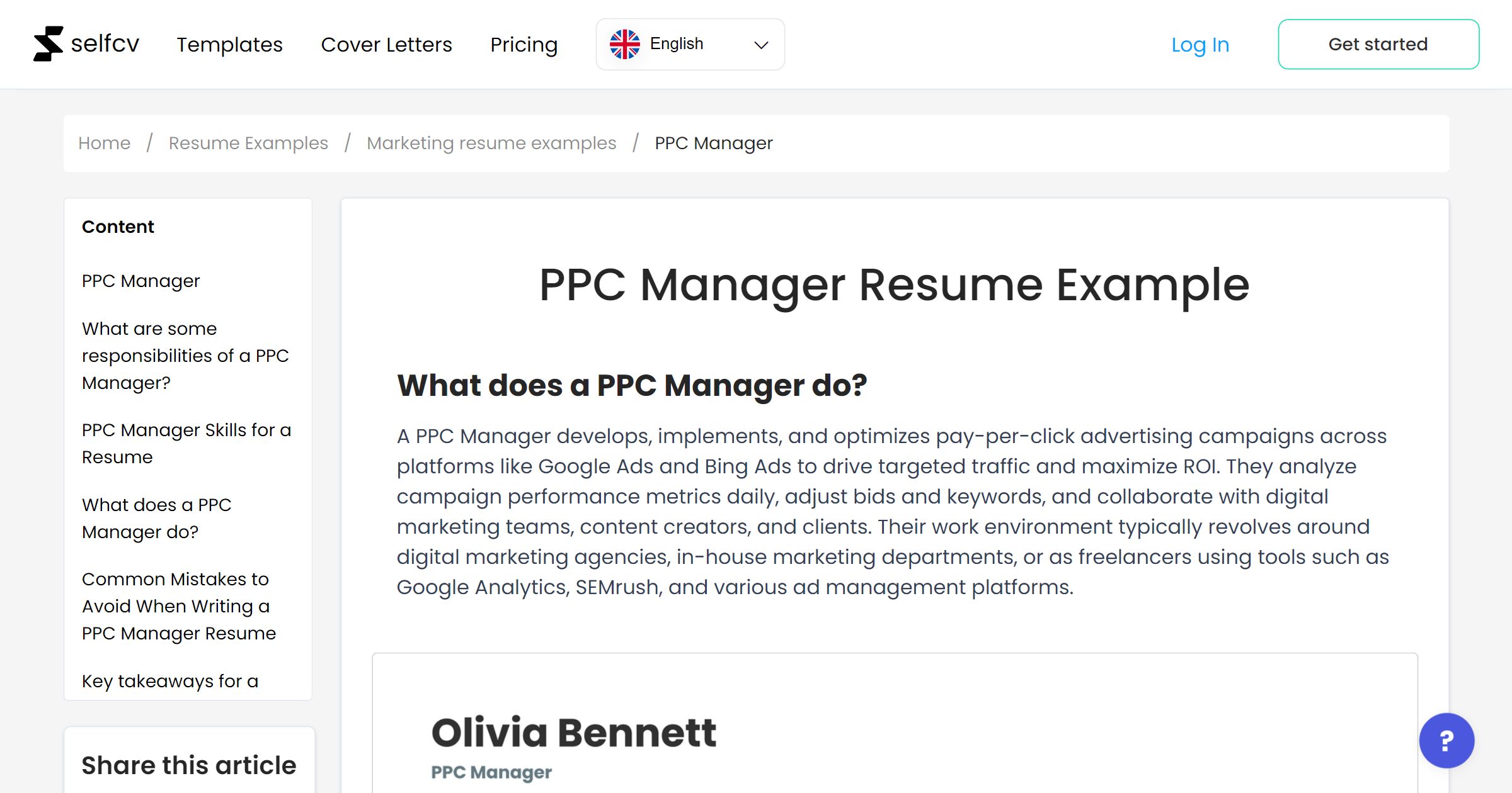 PPC Manager Resume Example