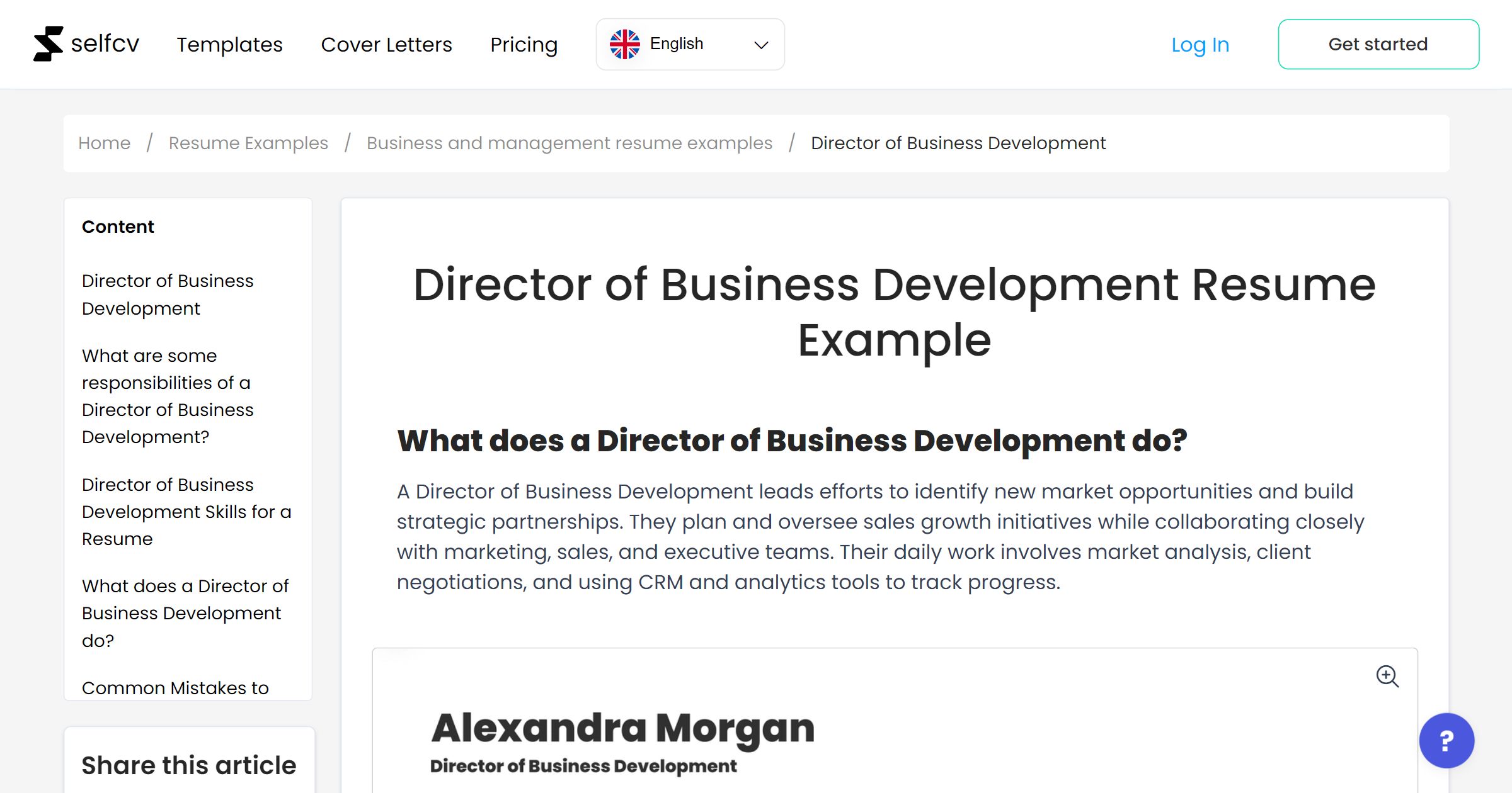 Director of Business Development Resume Example