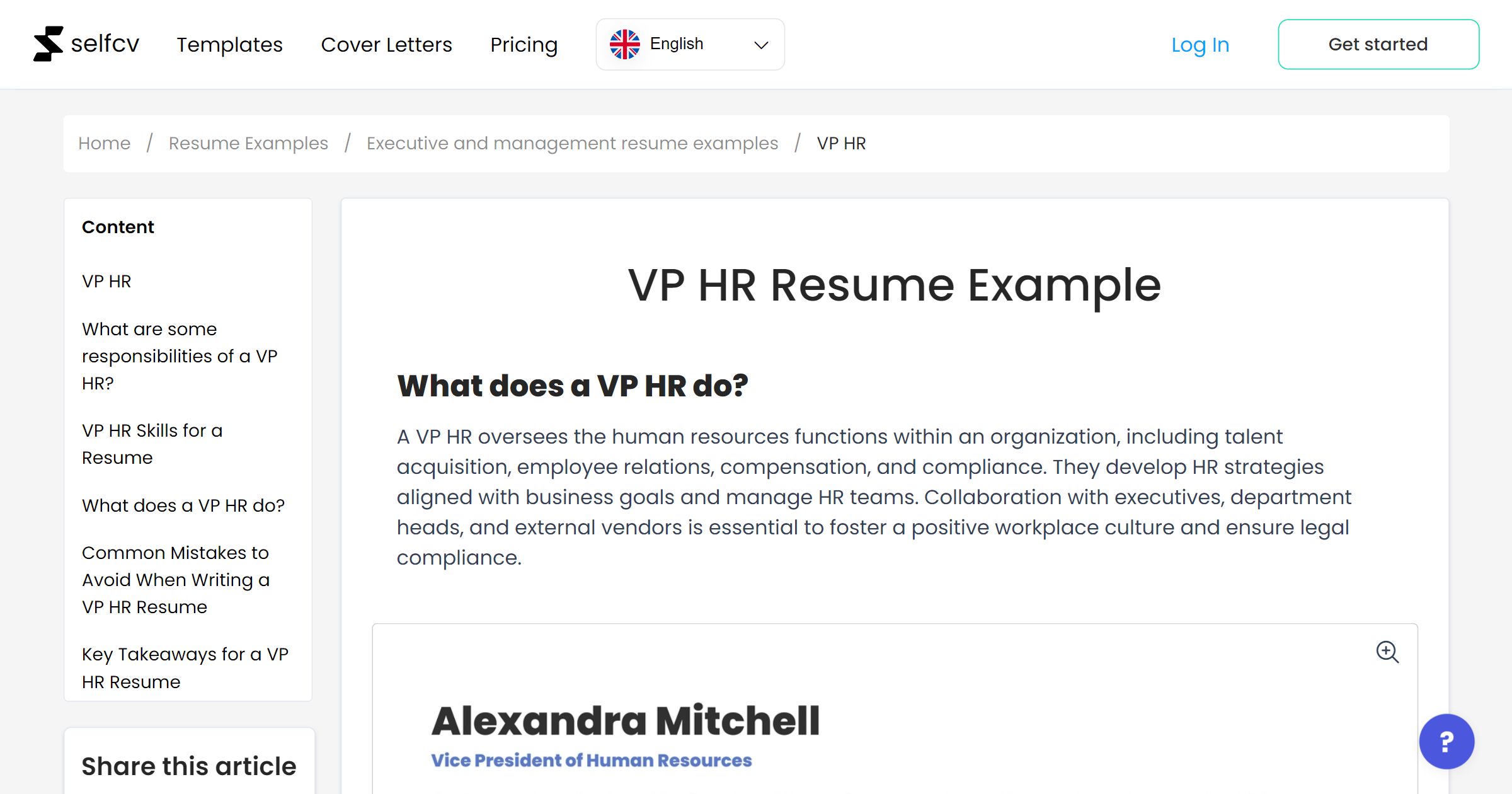 VP HR Resume Example