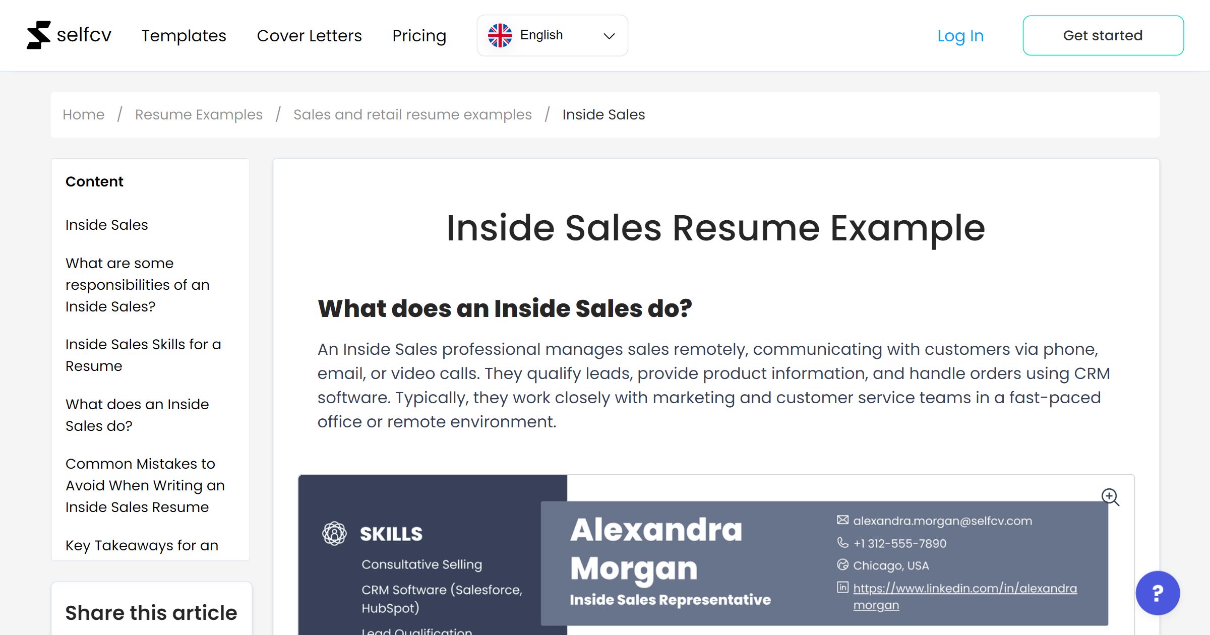 Inside Sales Resume Example