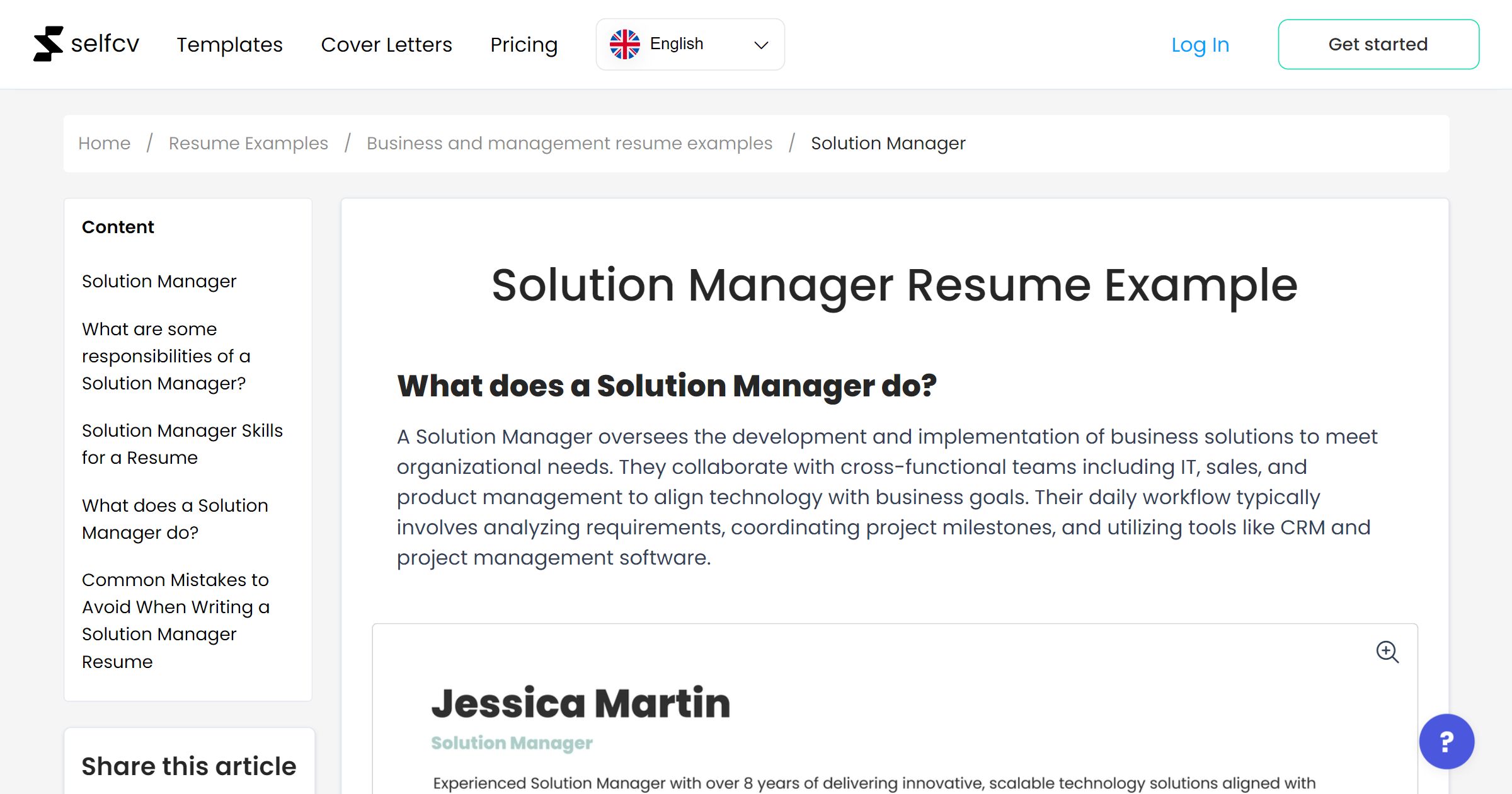 Solution Manager Resume Example