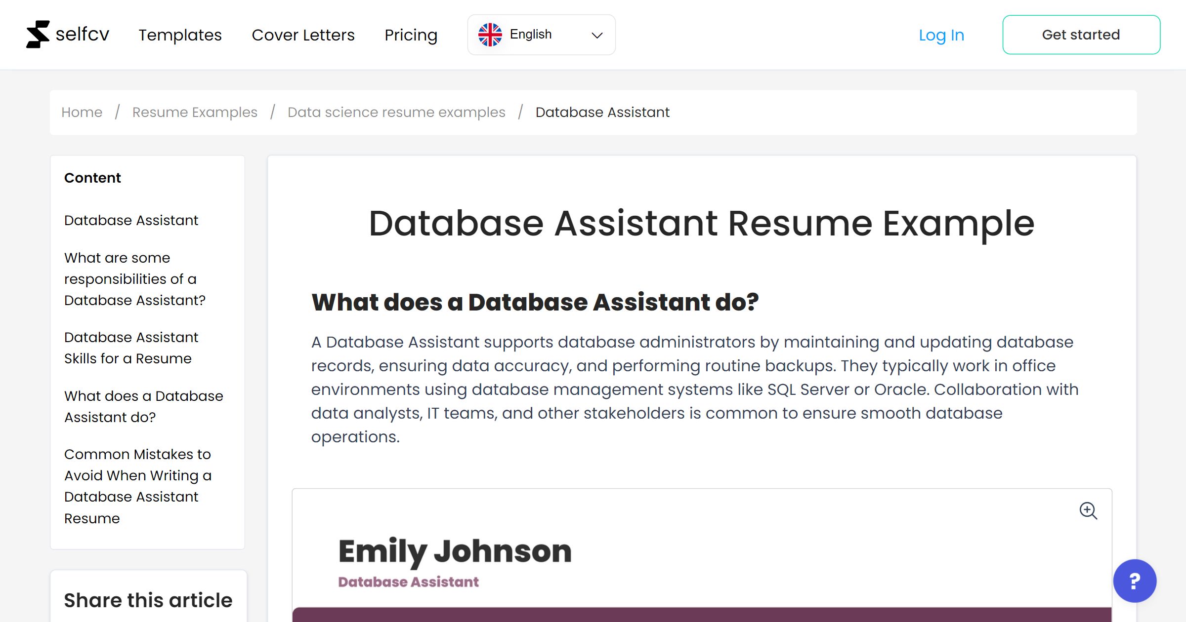 Database Assistant Resume Example
