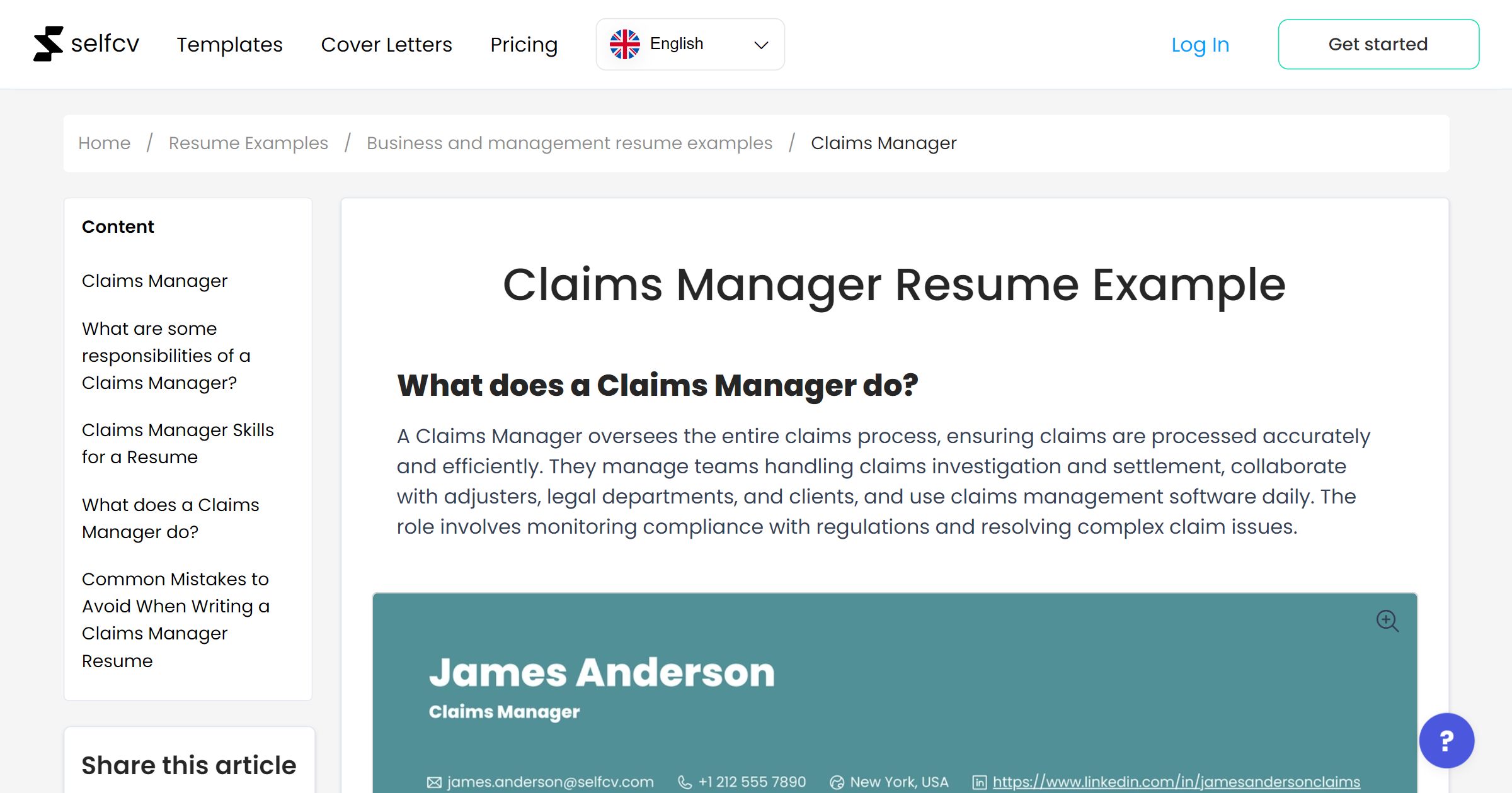 Claims Manager Resume Example