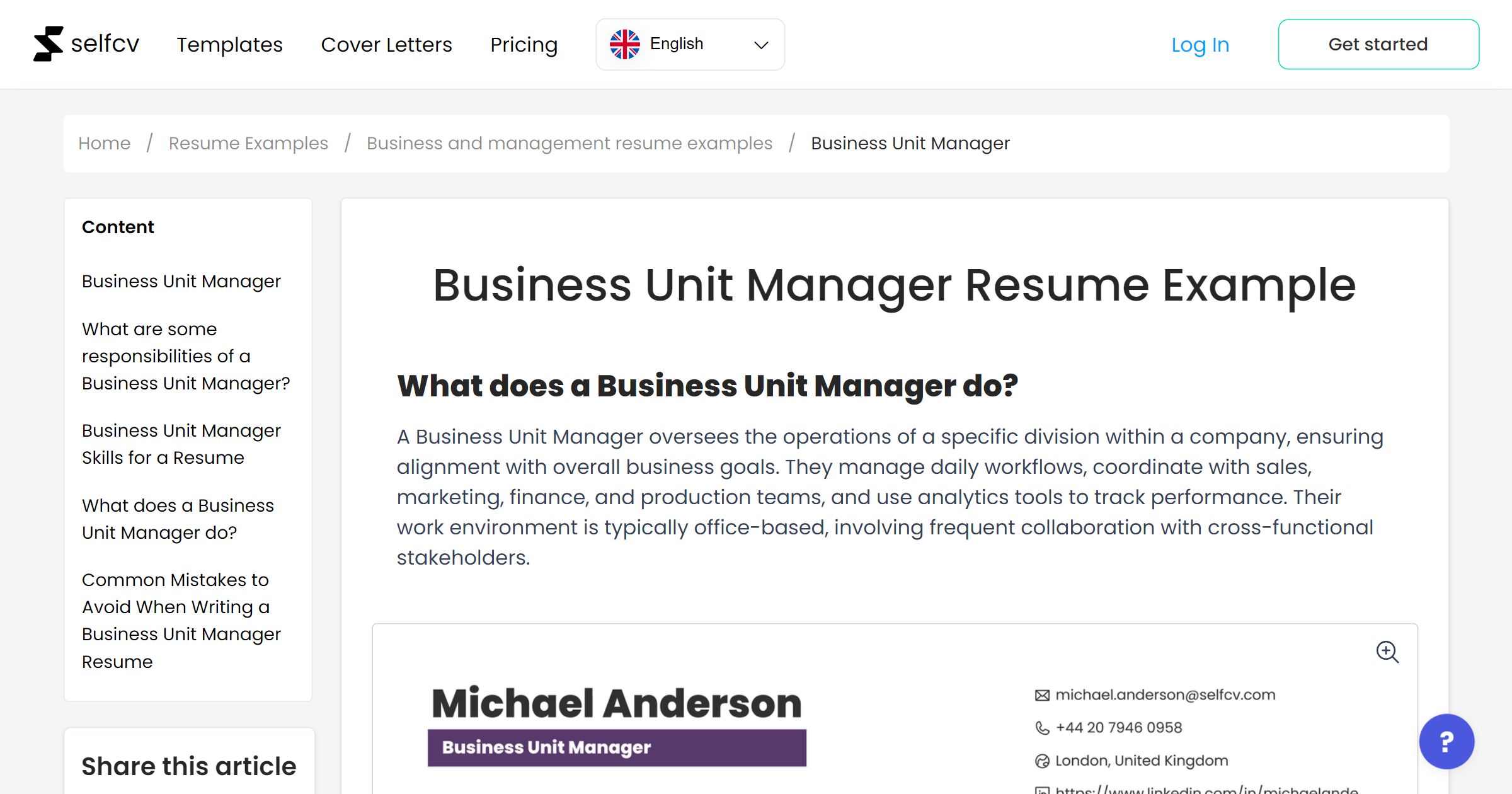Business Unit Manager Resume Example