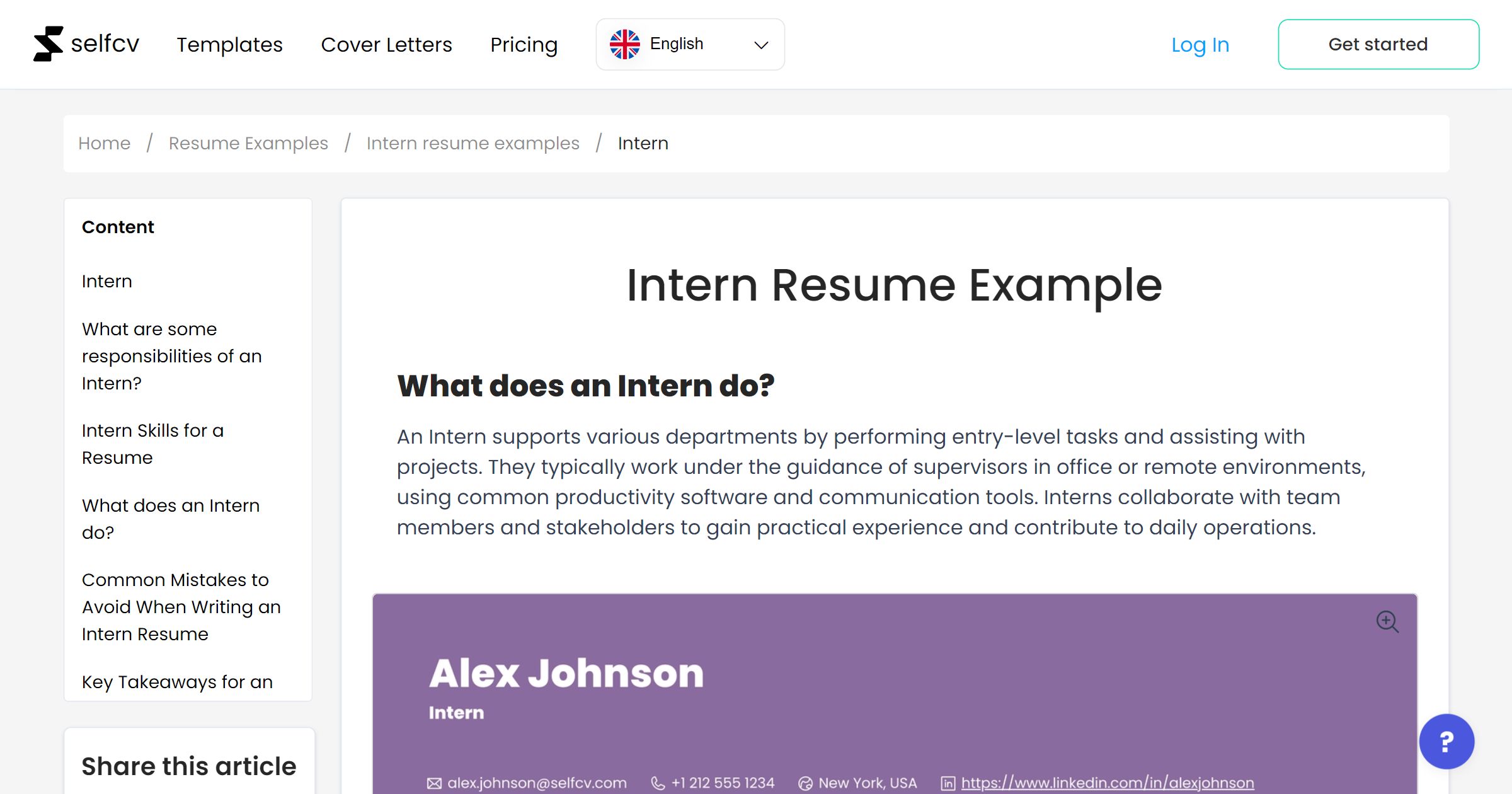Intern Resume Example
