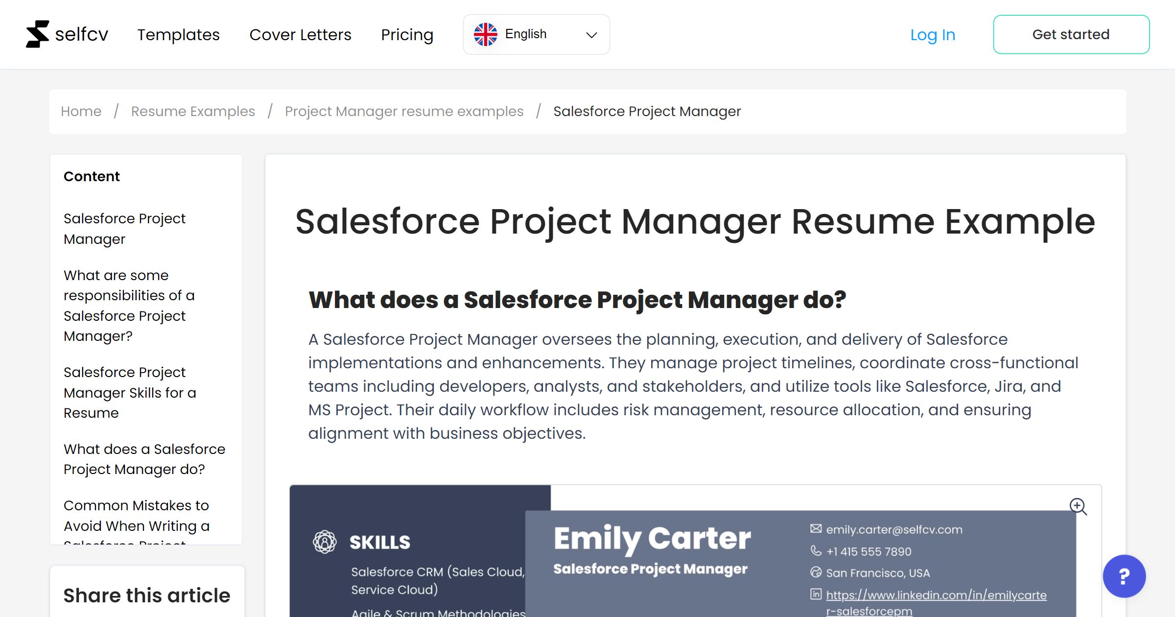 Salesforce Project Manager Resume Example
