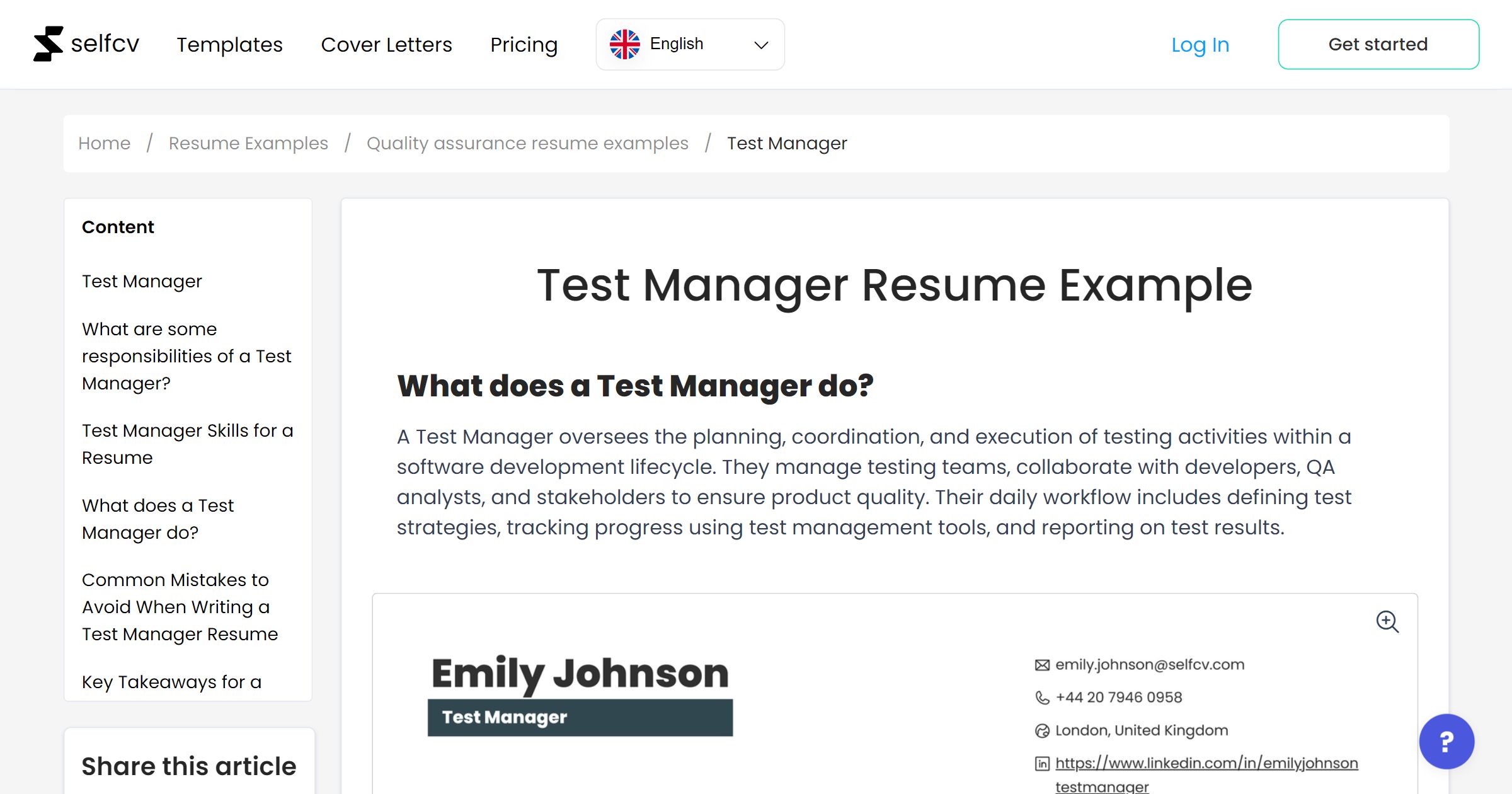Test Manager Resume Example