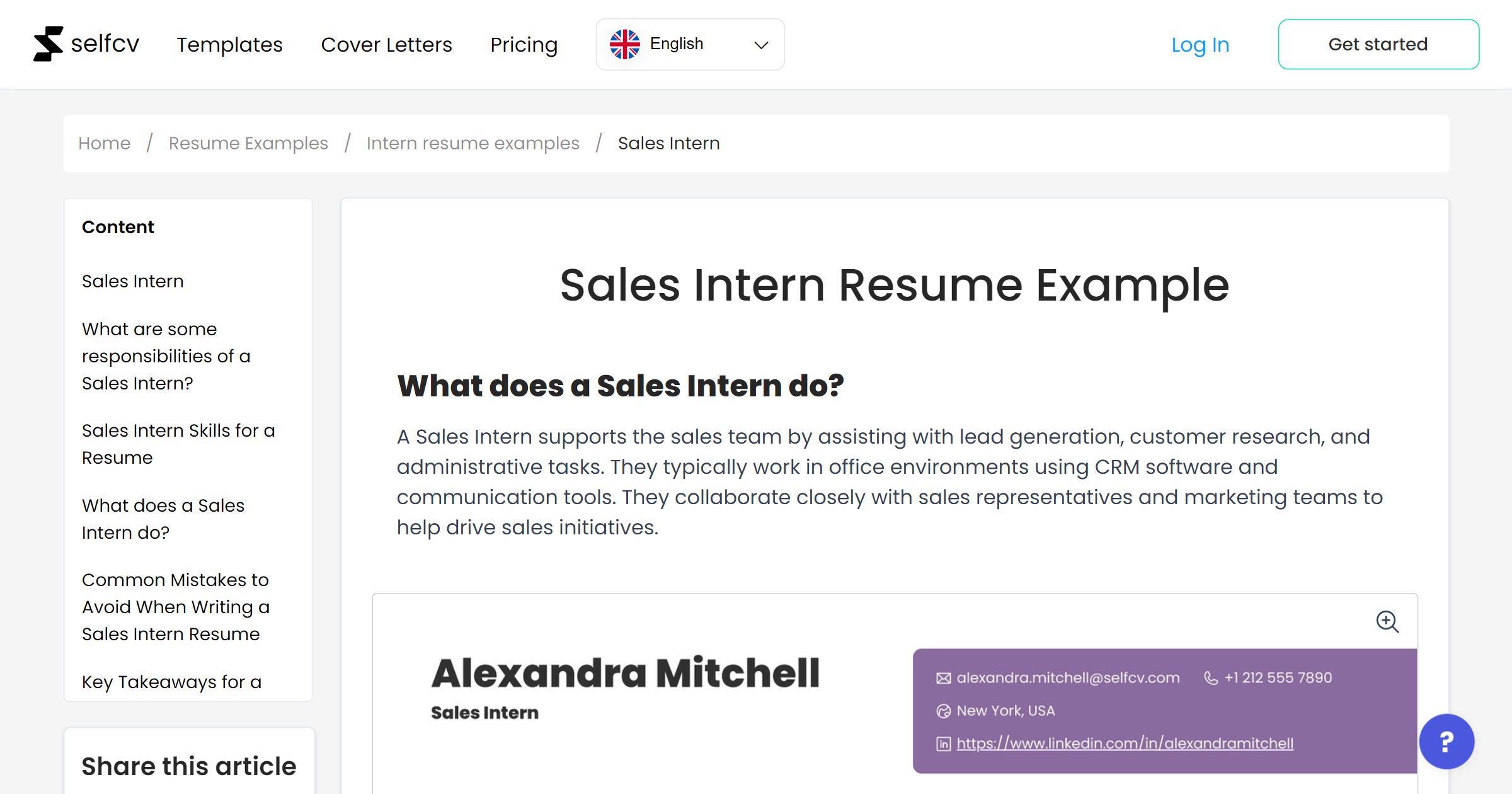 Sales Intern Resume Example