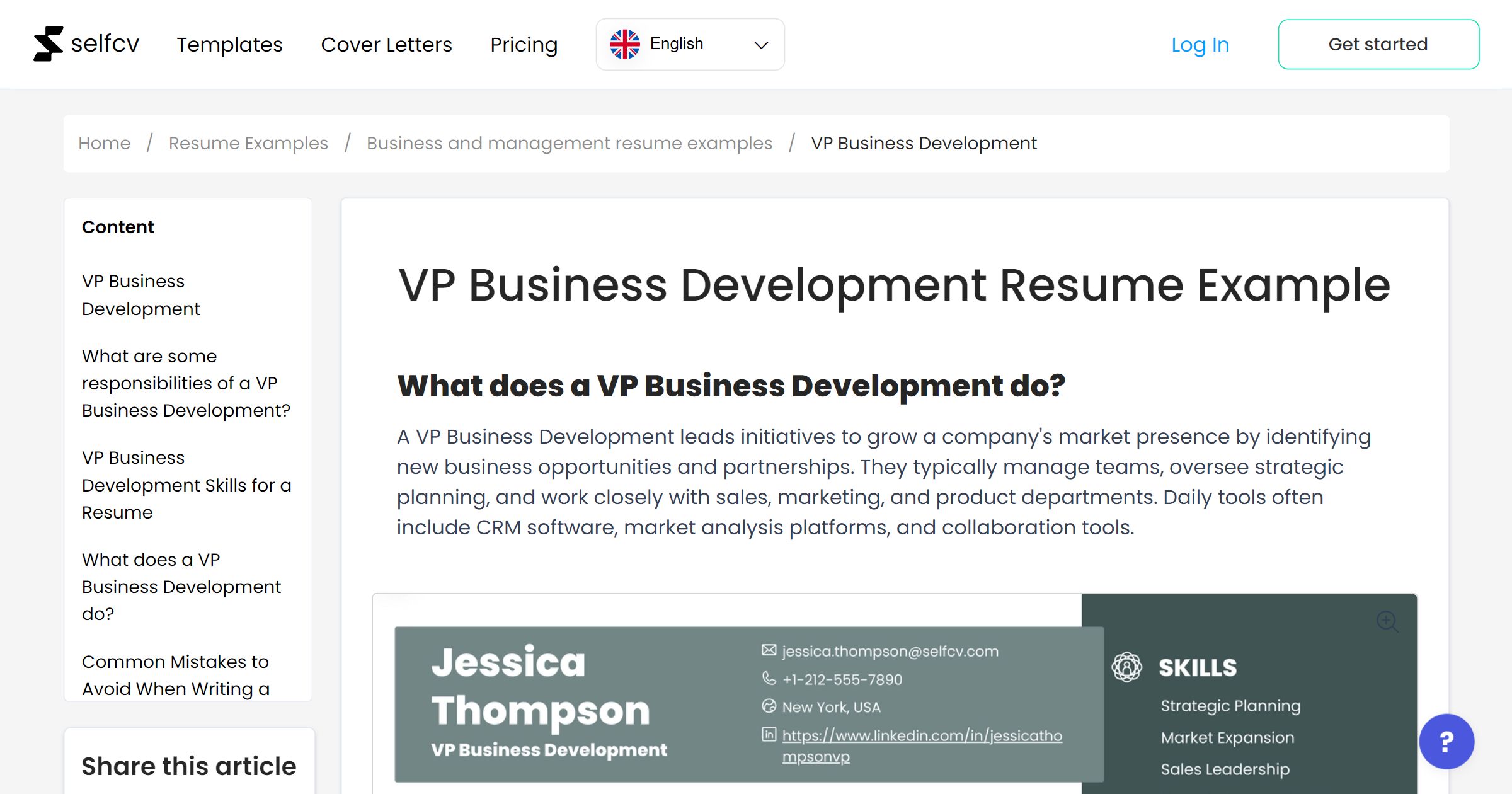 VP Business Development Resume Example