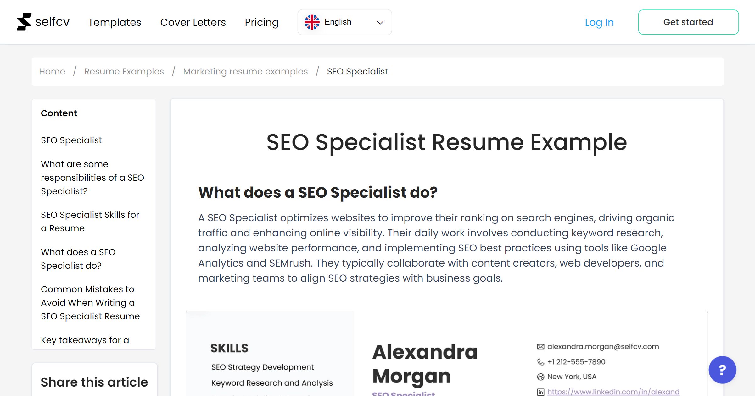 SEO Specialist Resume Example