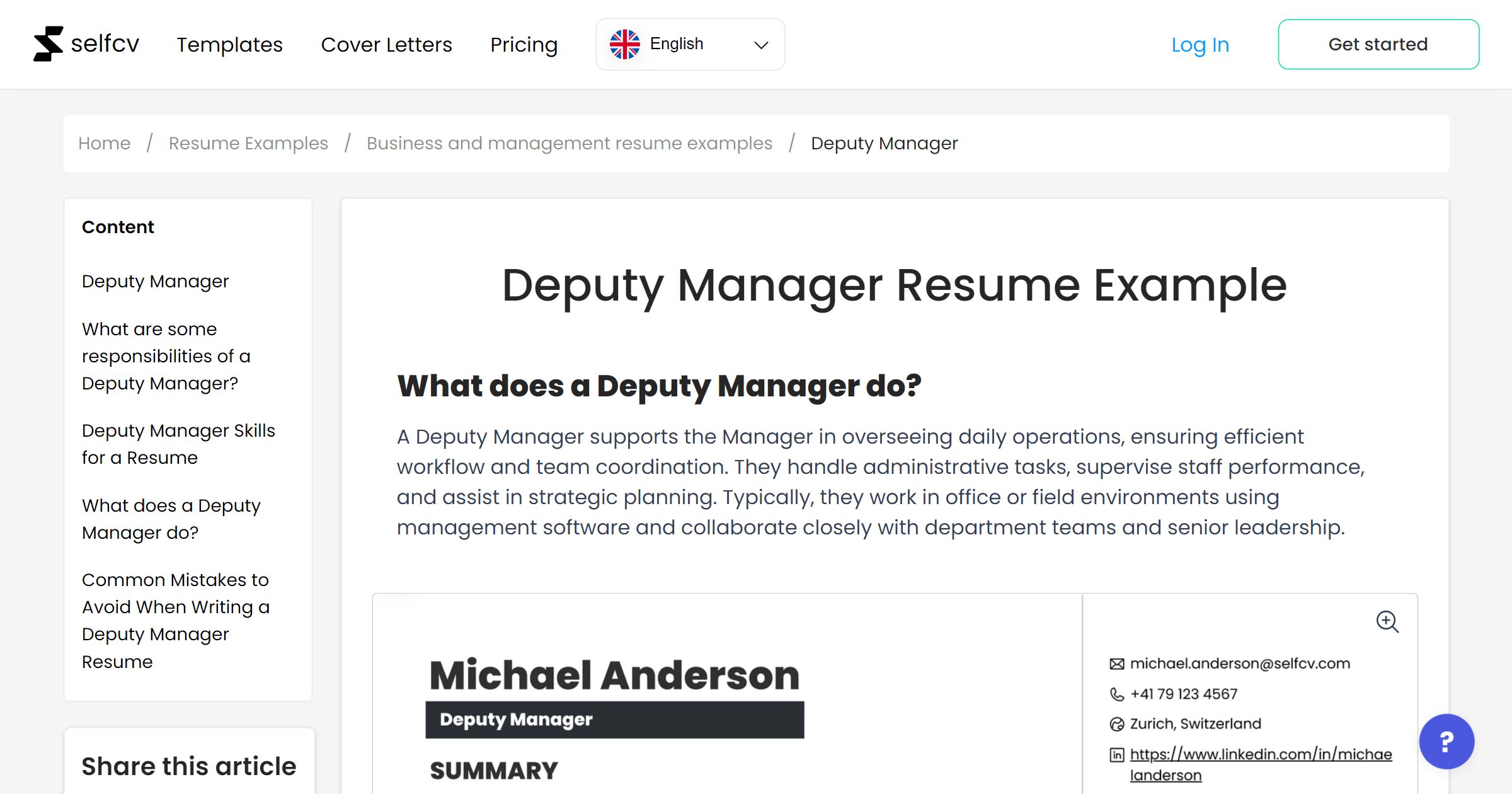 Deputy Manager Resume Example