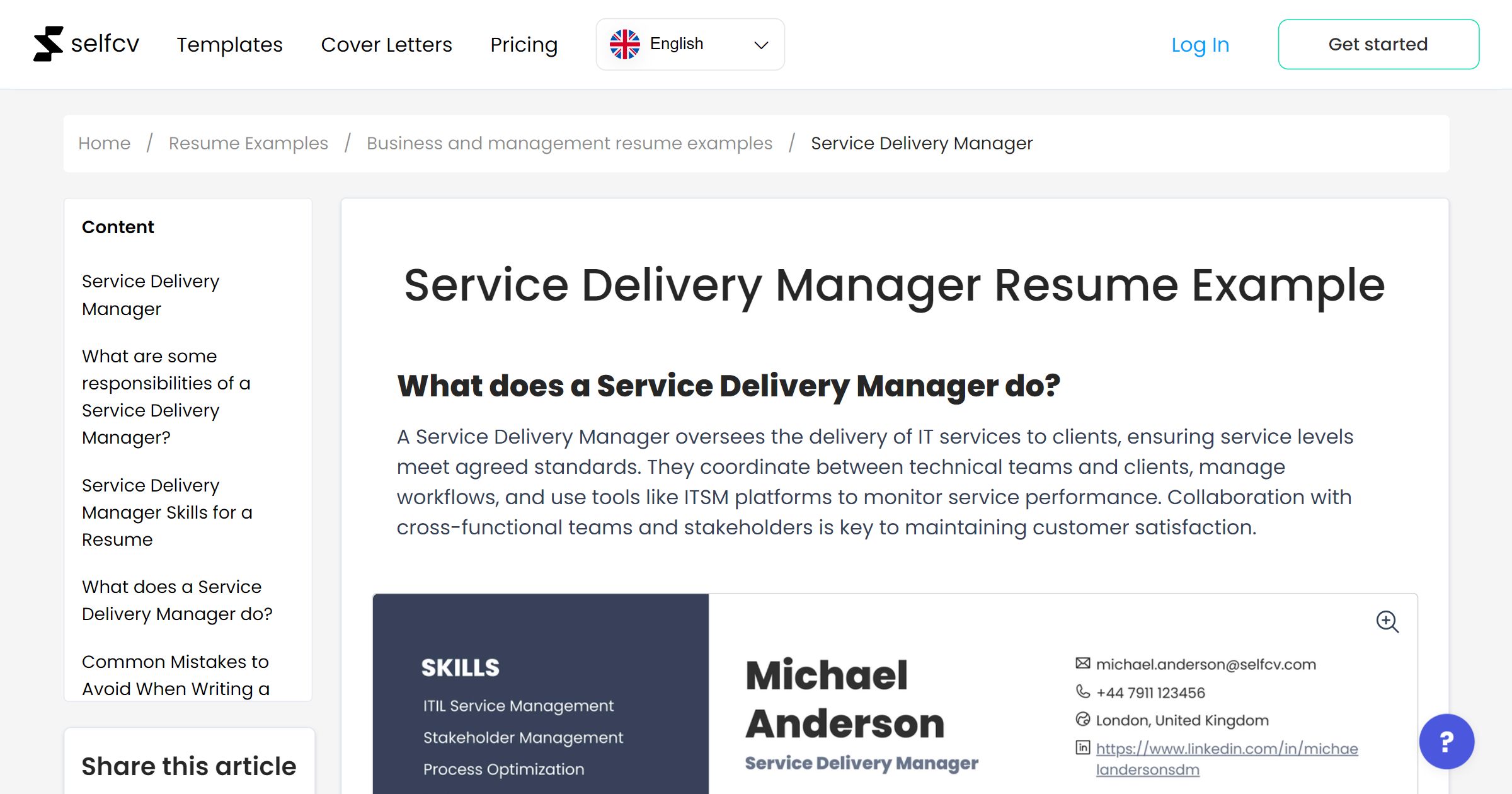 Service Delivery Manager Resume Example