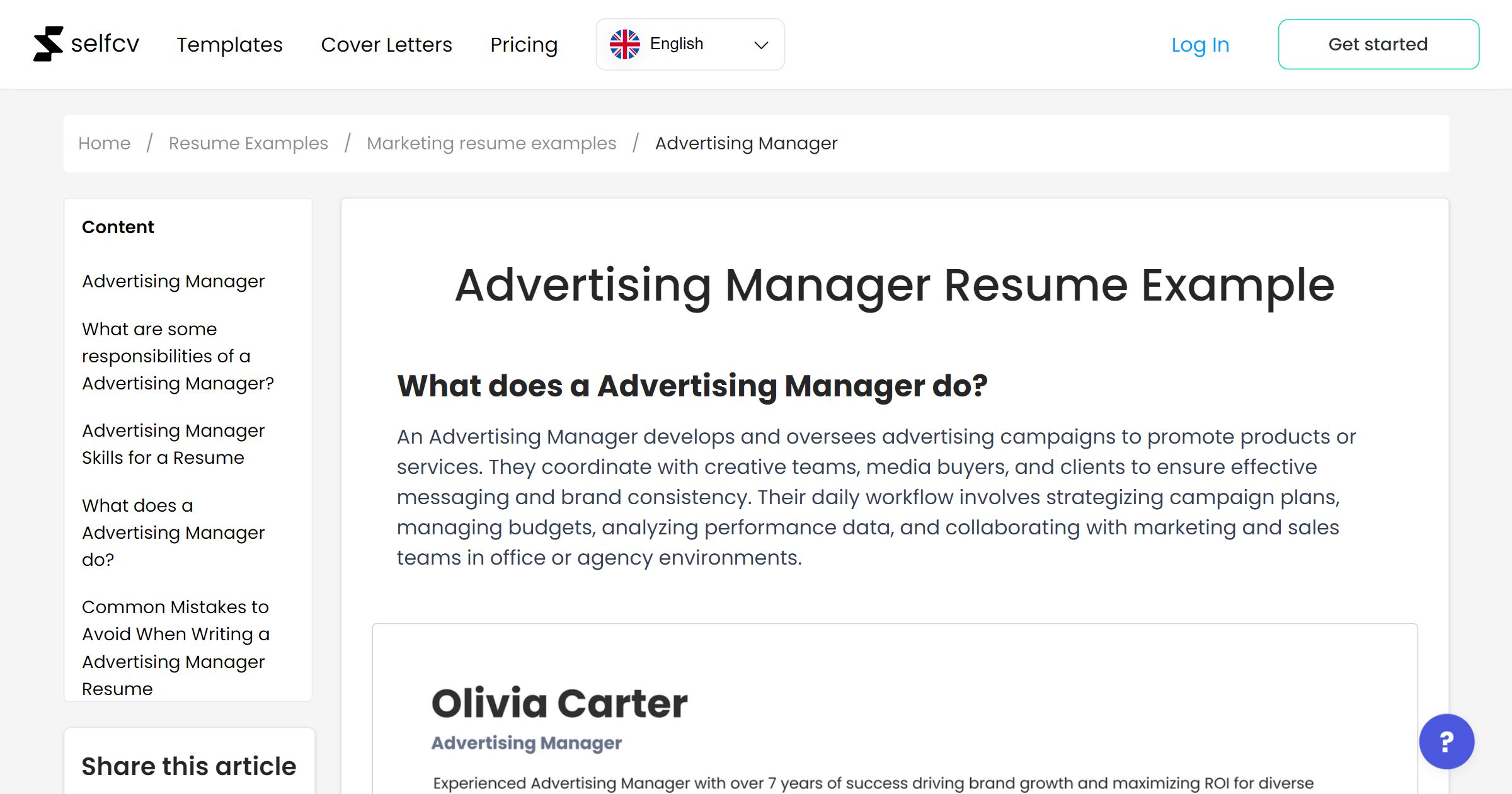 Advertising Manager Resume Example
