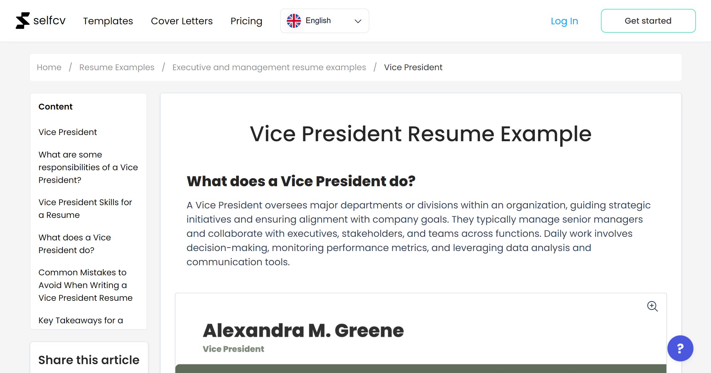 Vice President Resume Example