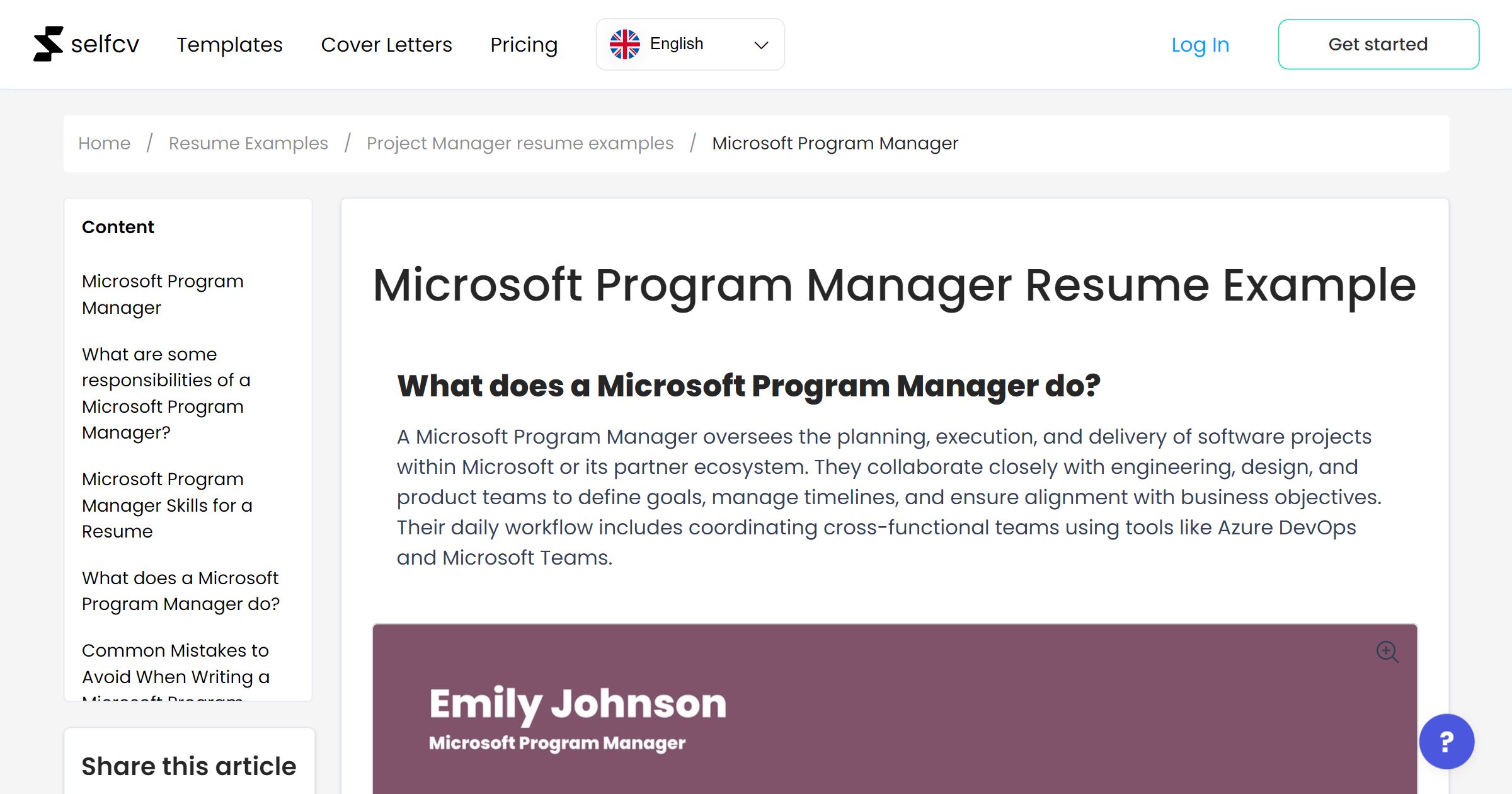 Microsoft Program Manager Resume Example