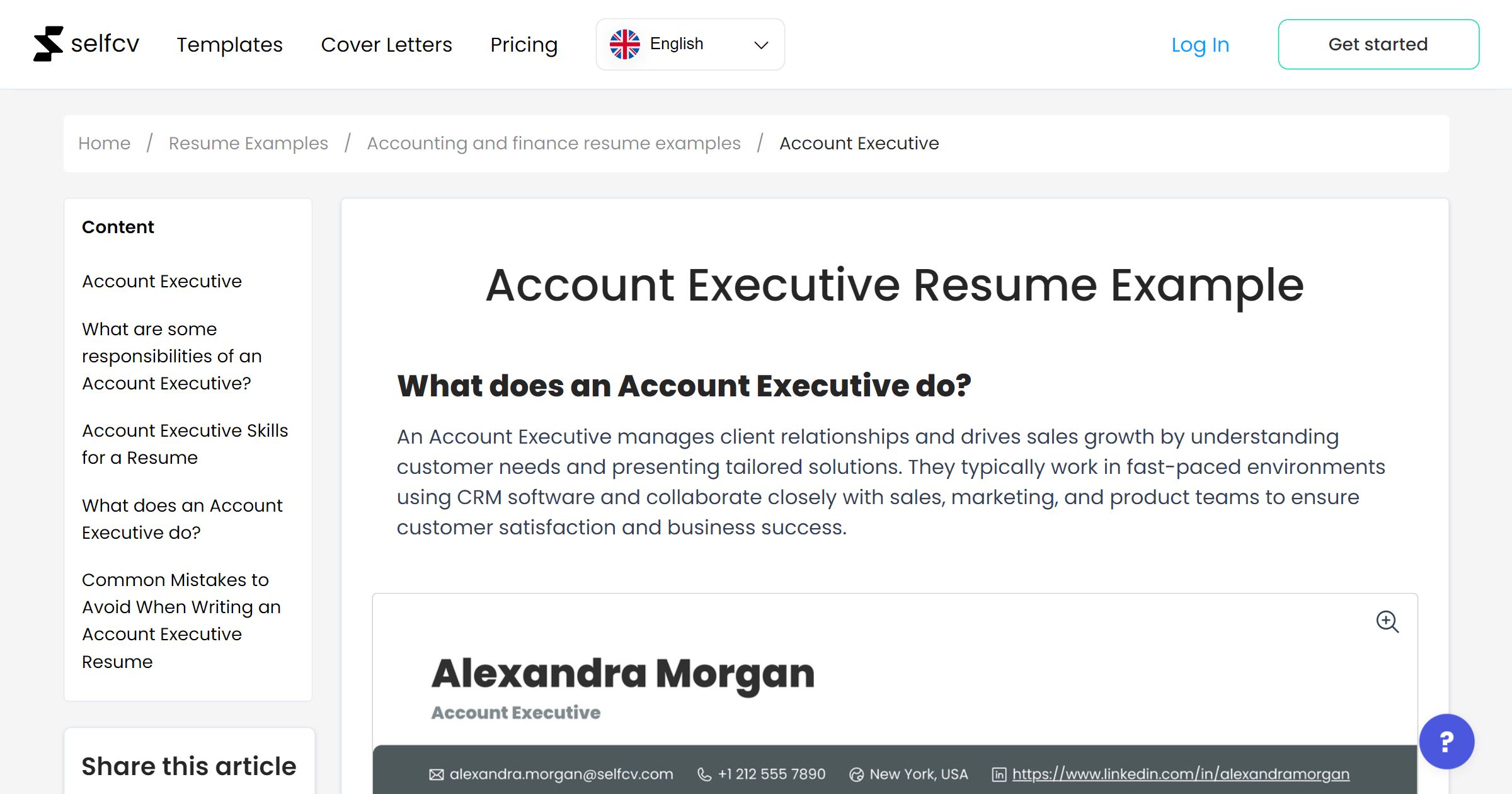 Account Executive Resume Example