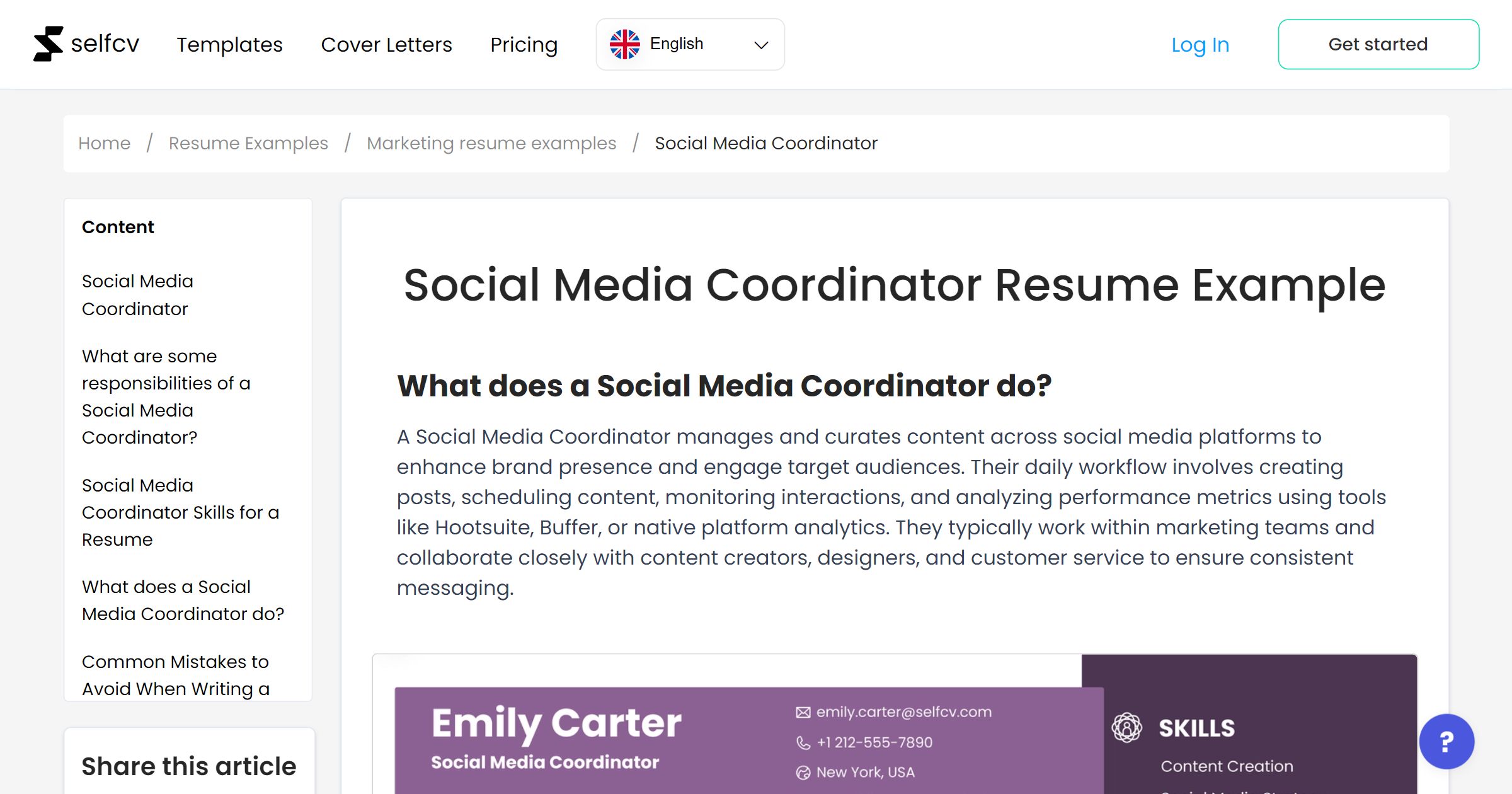 Social Media Coordinator Resume Example