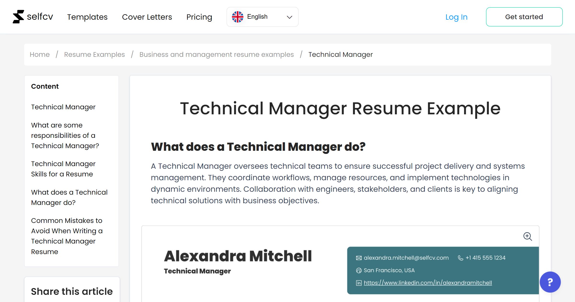 Technical Manager Resume Example
