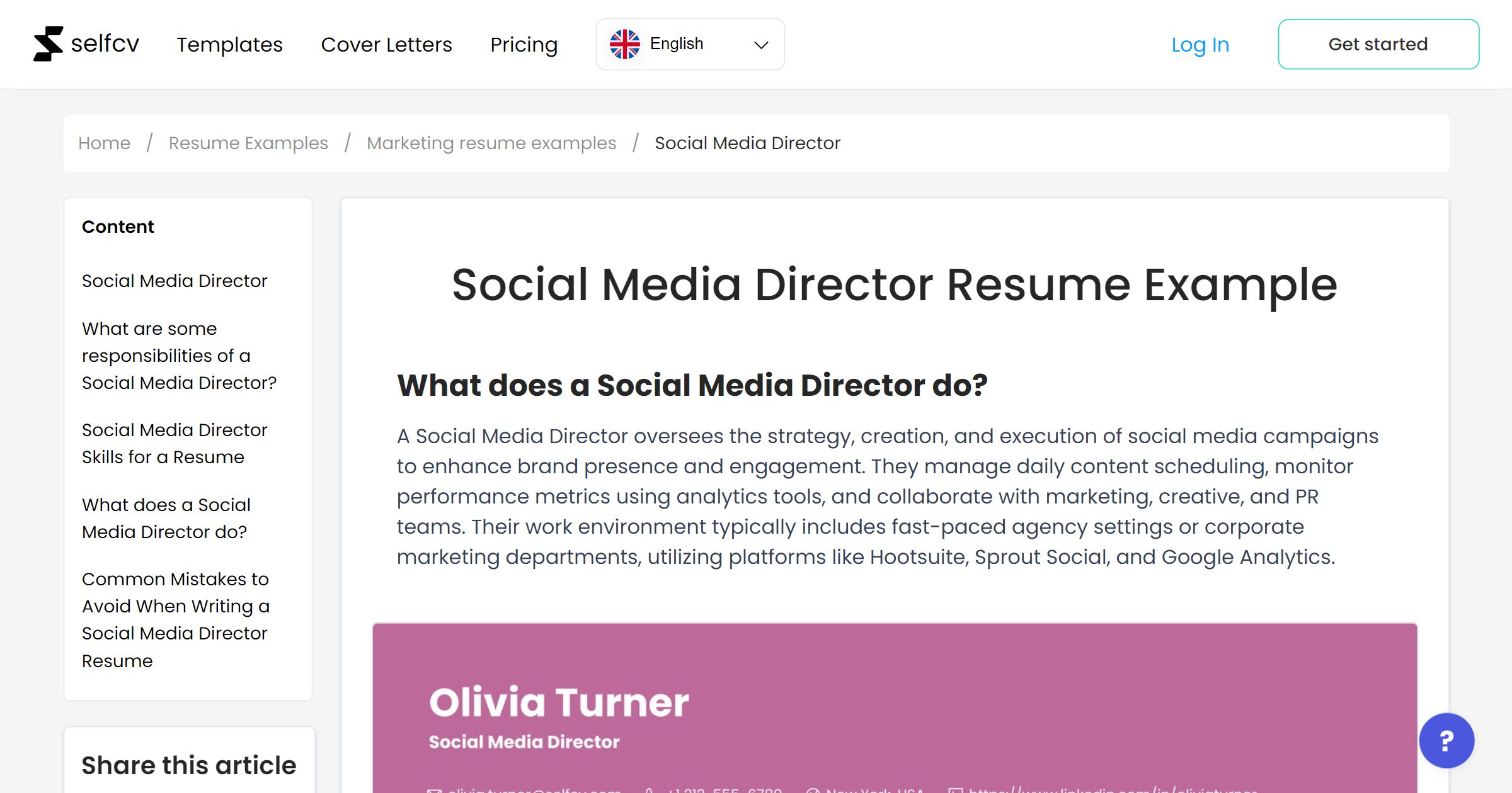 Social Media Director Resume Example