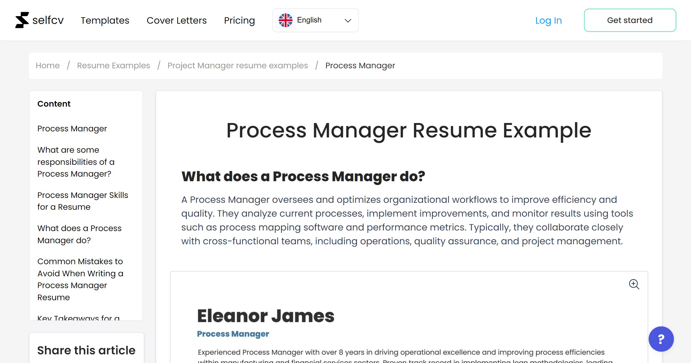 Process Manager Resume Example