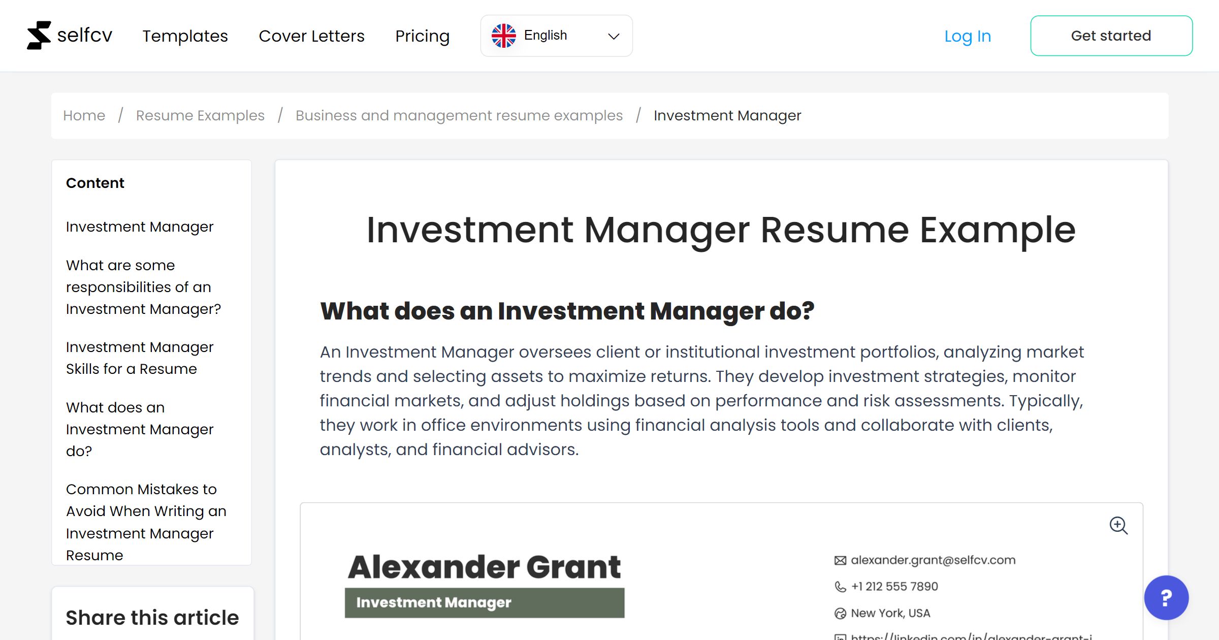 Investment Manager Resume Example